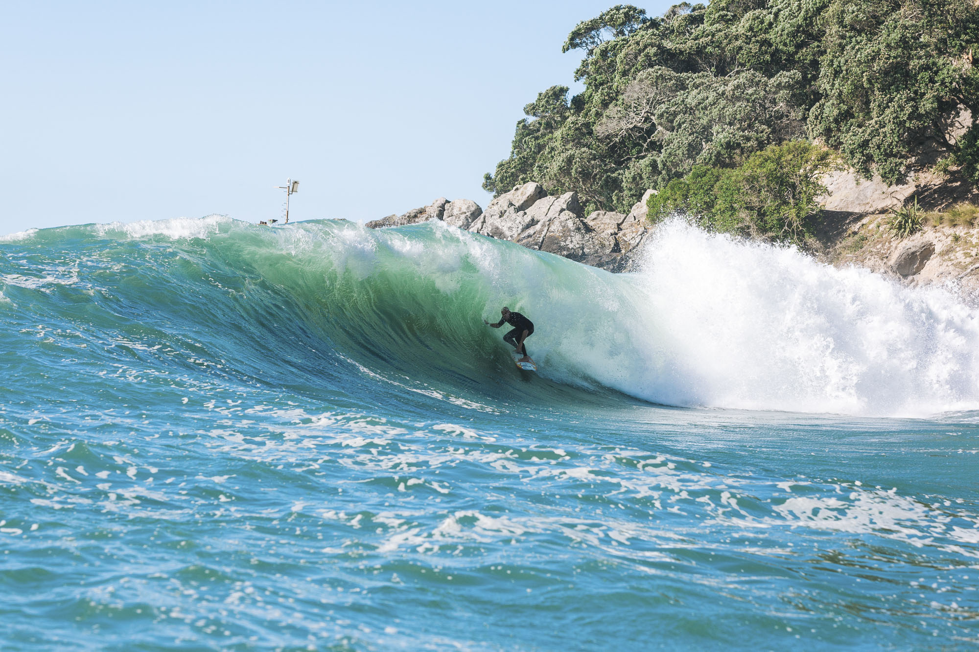 Green Gold: North Island Magic During TC Cody