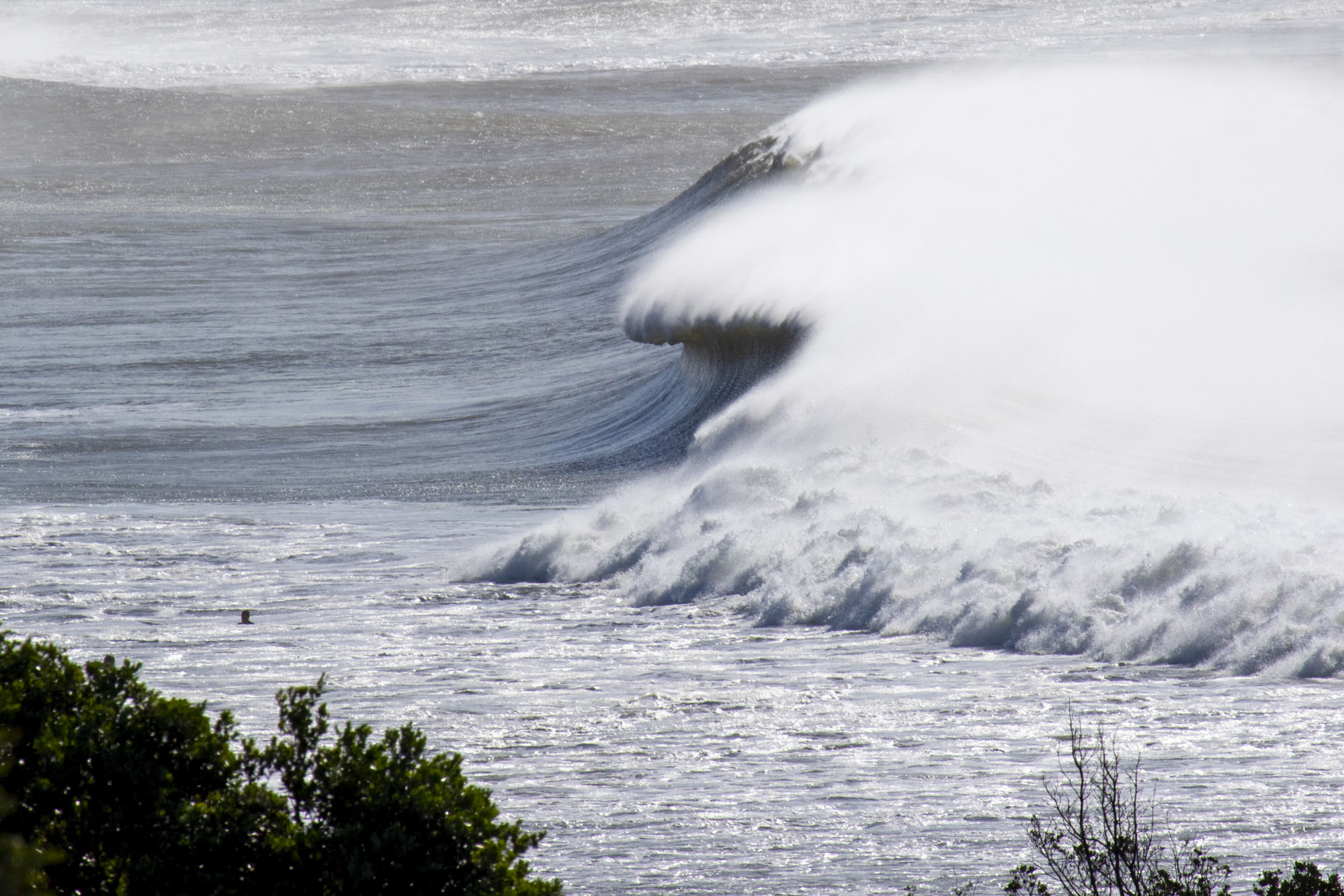 Magnificent Accident: How TC Dovi Blew Up Taranaki