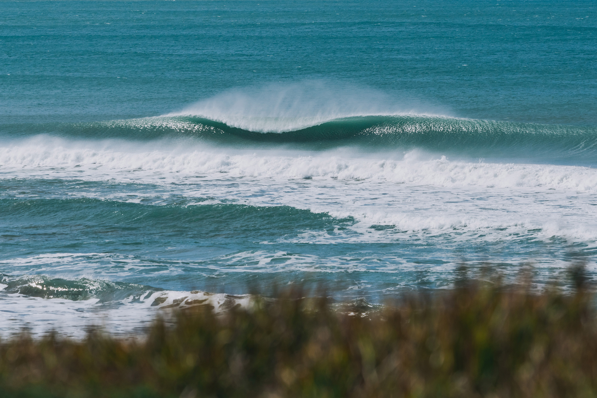 New Zealand’s Golden Triangle