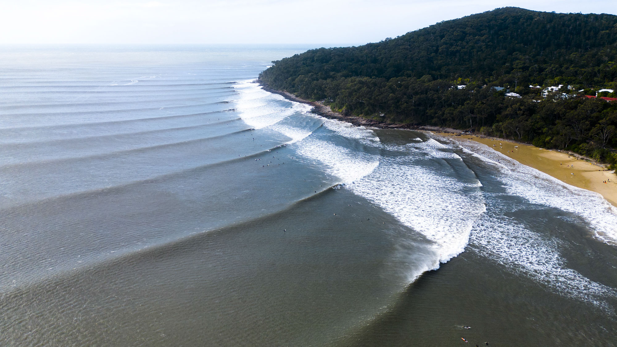 The Unexpected: Queensland’s Wild Weekend