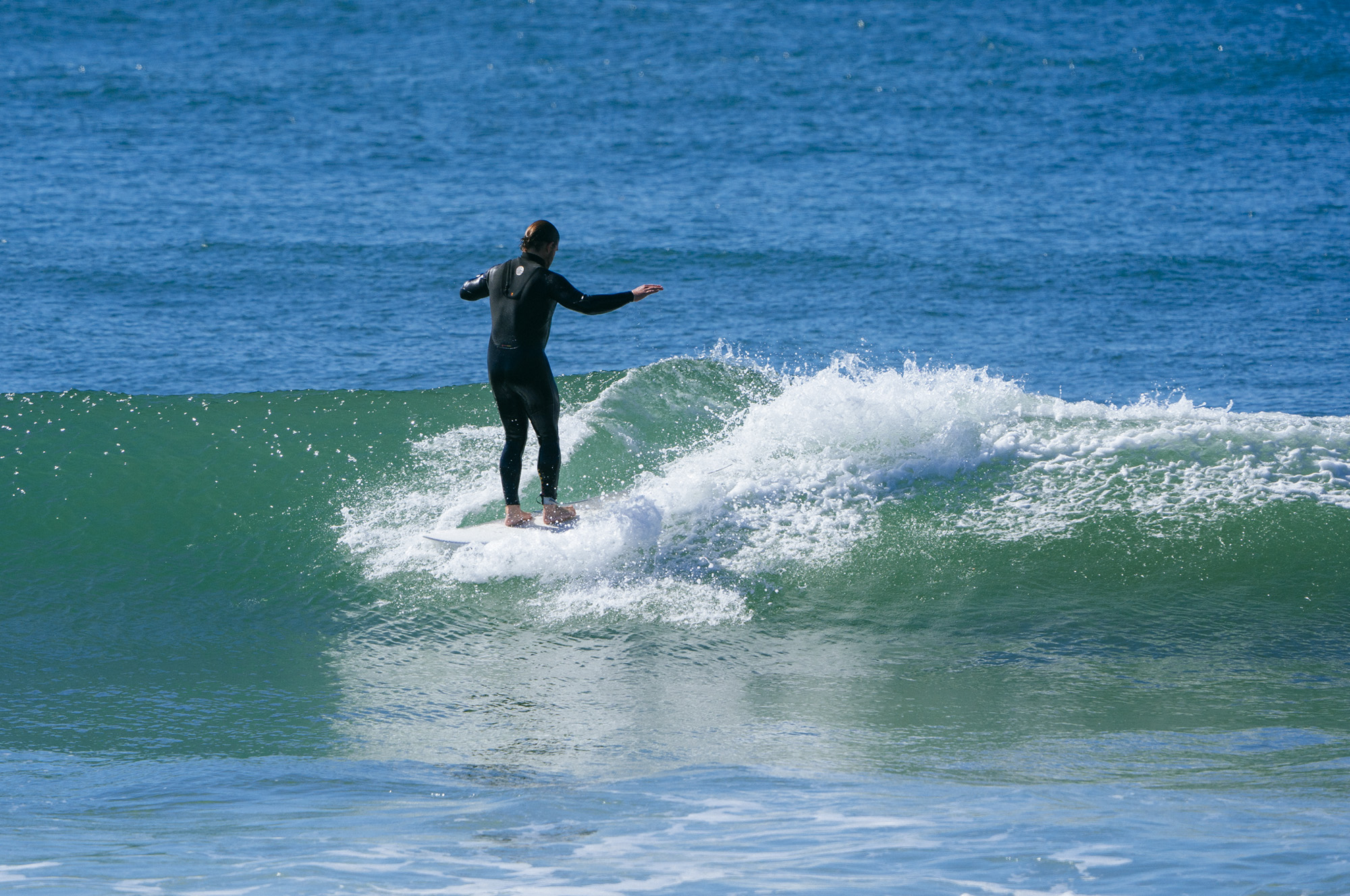 Board Review: Tolhurst/Firewire Mid6