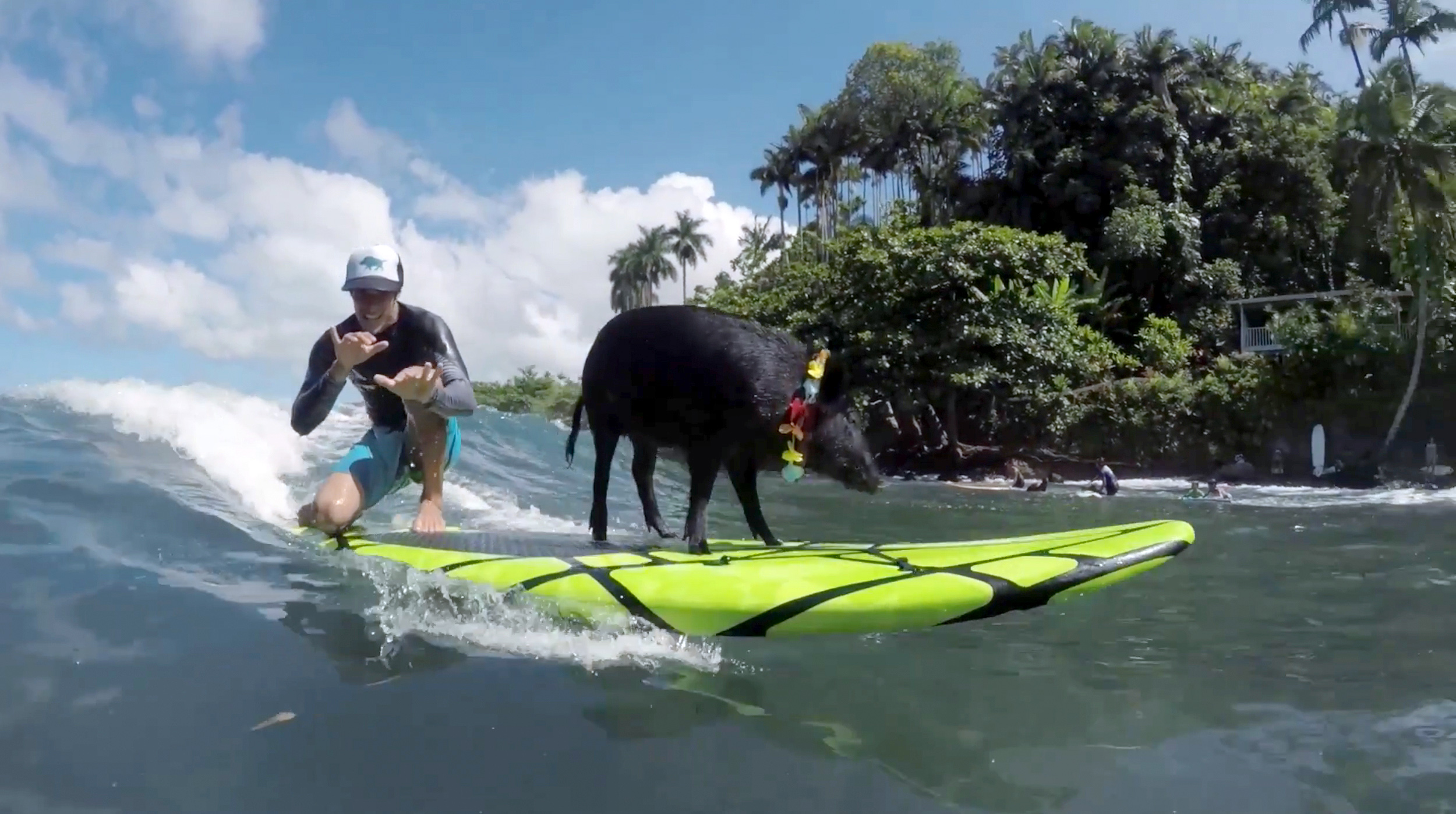 That’s a Wrap: Spirit of Surfing Cuervo Challenge Judging Update
