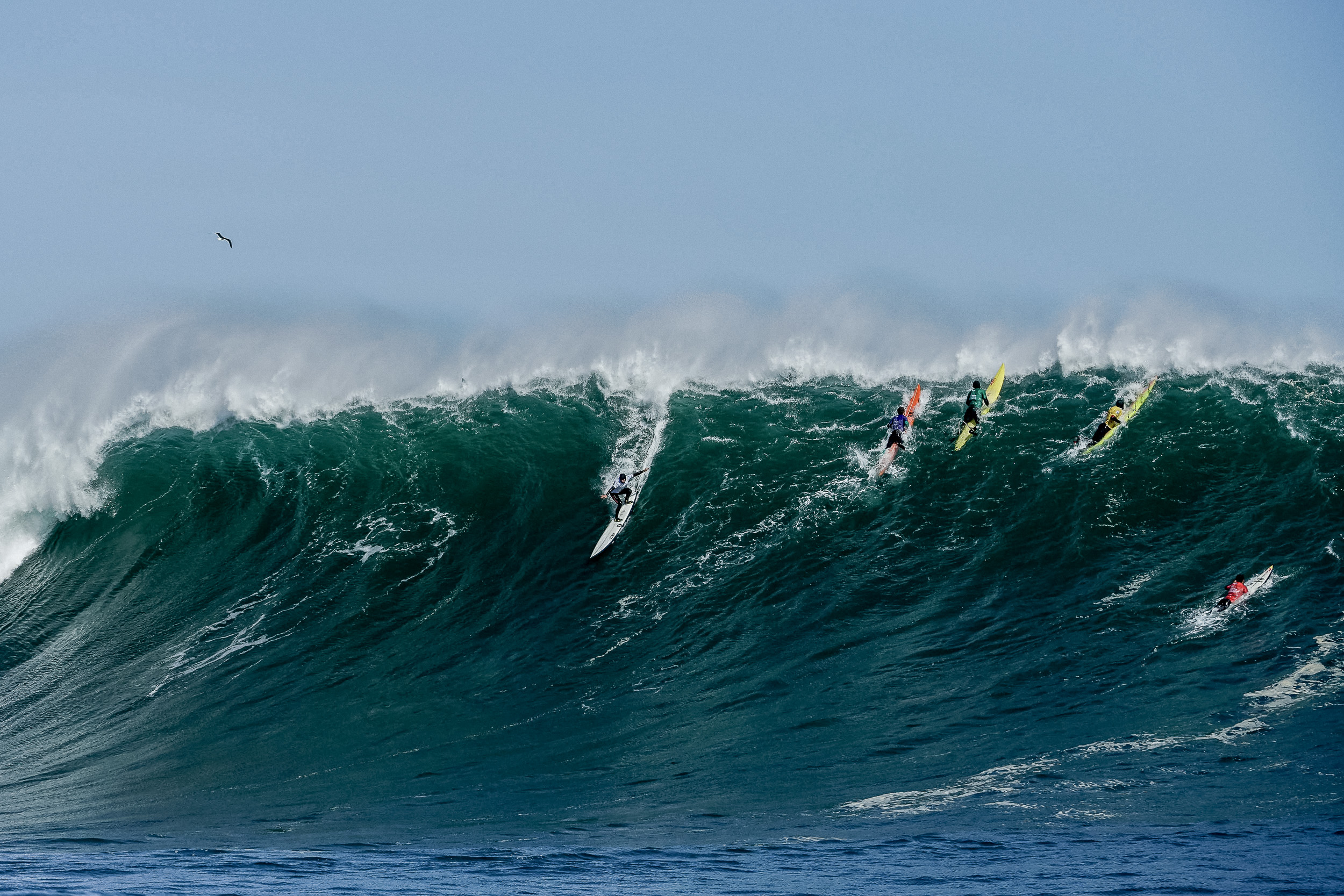 Punta de Lobos Takes Center Stage as Chile Goes XXL