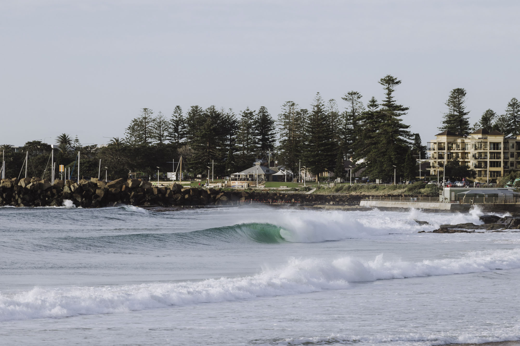 The Little East Swell That Could