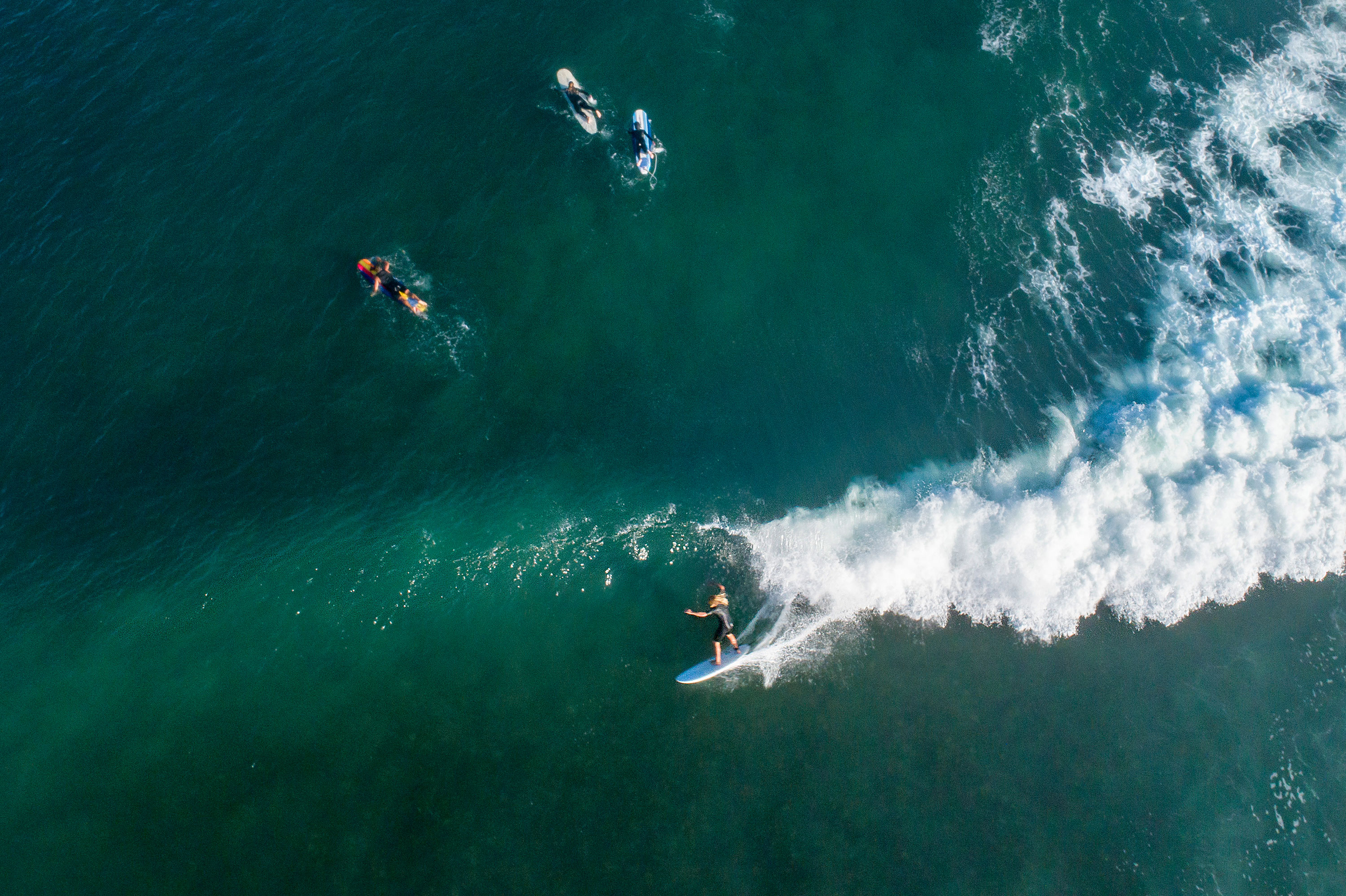 "So Long, Summer" -- South Swell