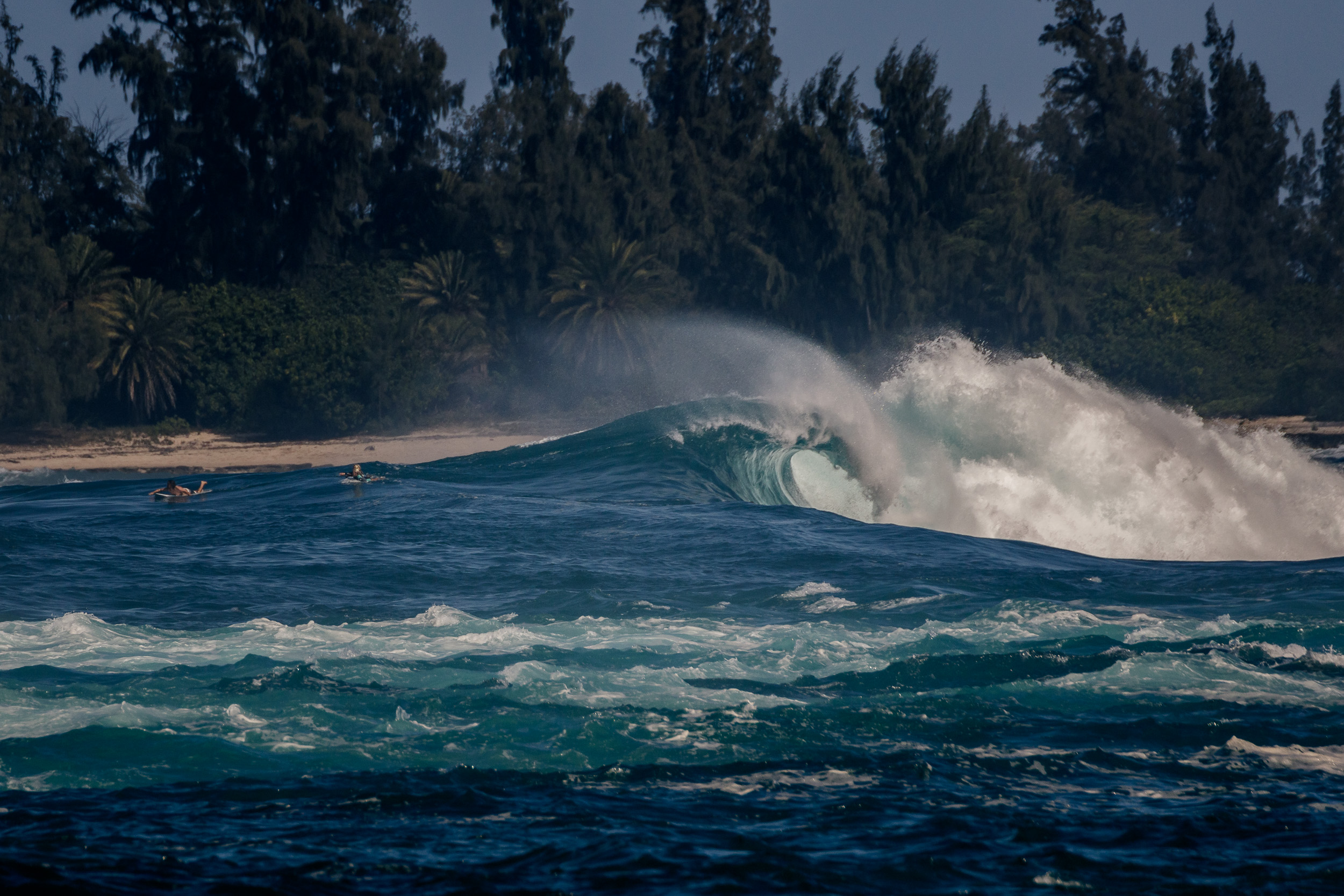 Hawaii and West Coast Weekend Surf Outlook - Surfline