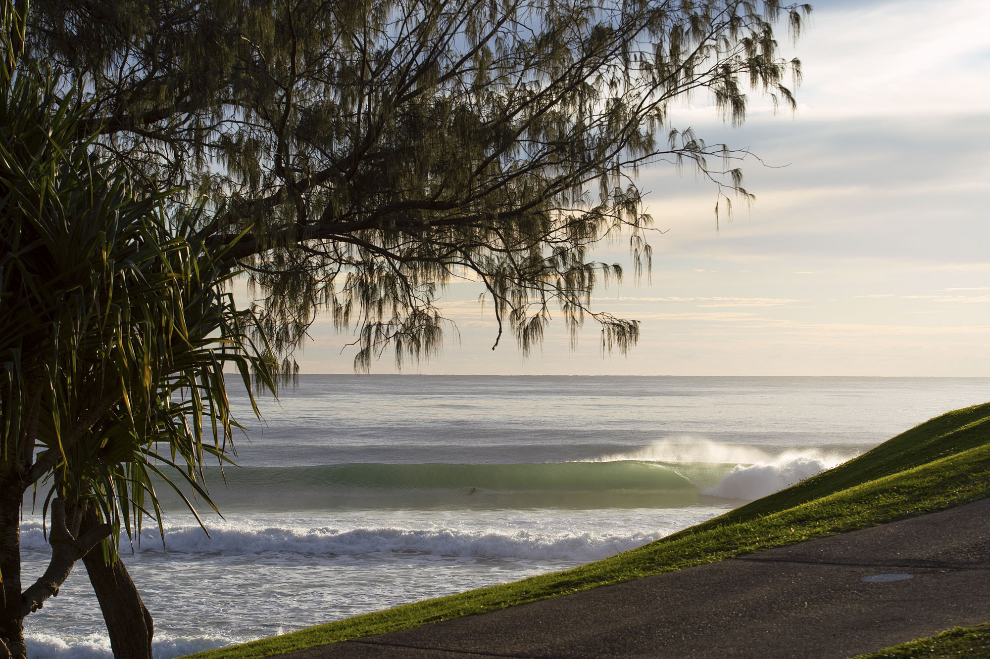 Outlook: The Australian Spring 2022