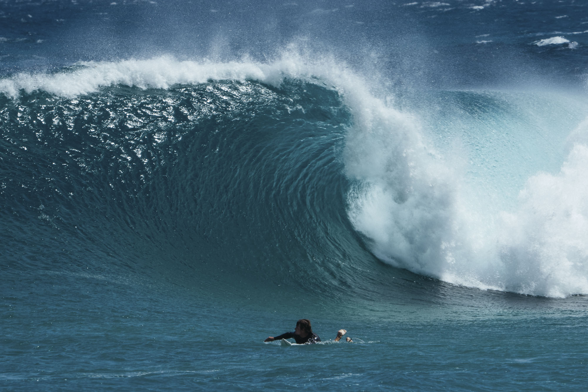 Outlook: The Australian Spring 2022