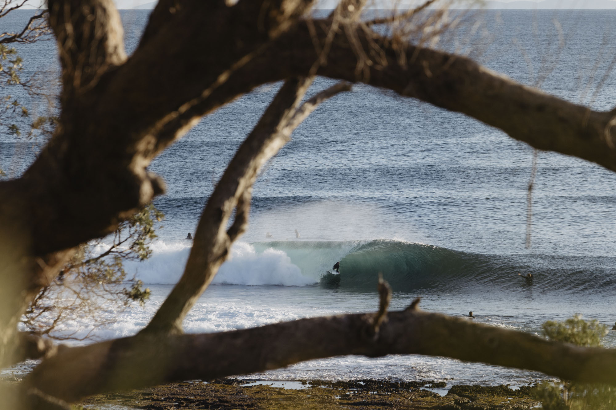 The Swings Of Spring