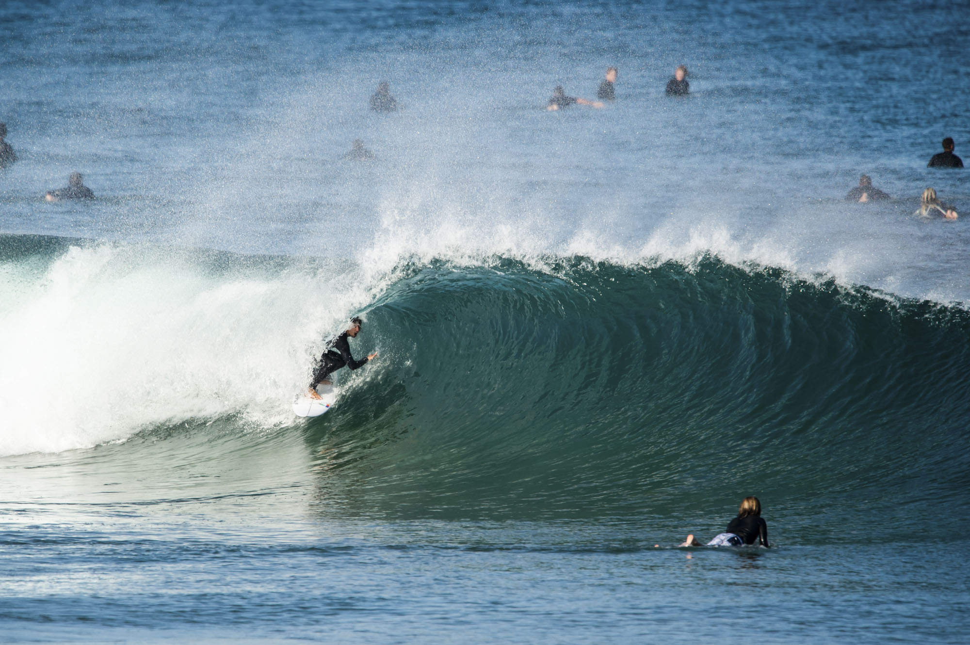 The Swings Of Spring