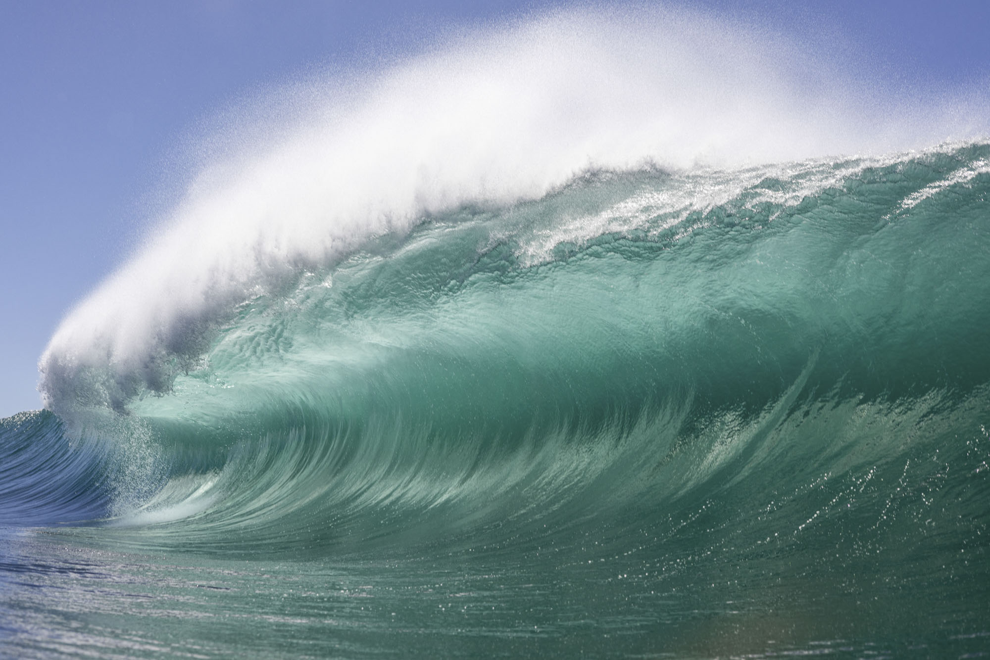 A Parting Gift in NSW: “Mother Nature Humbled Me”