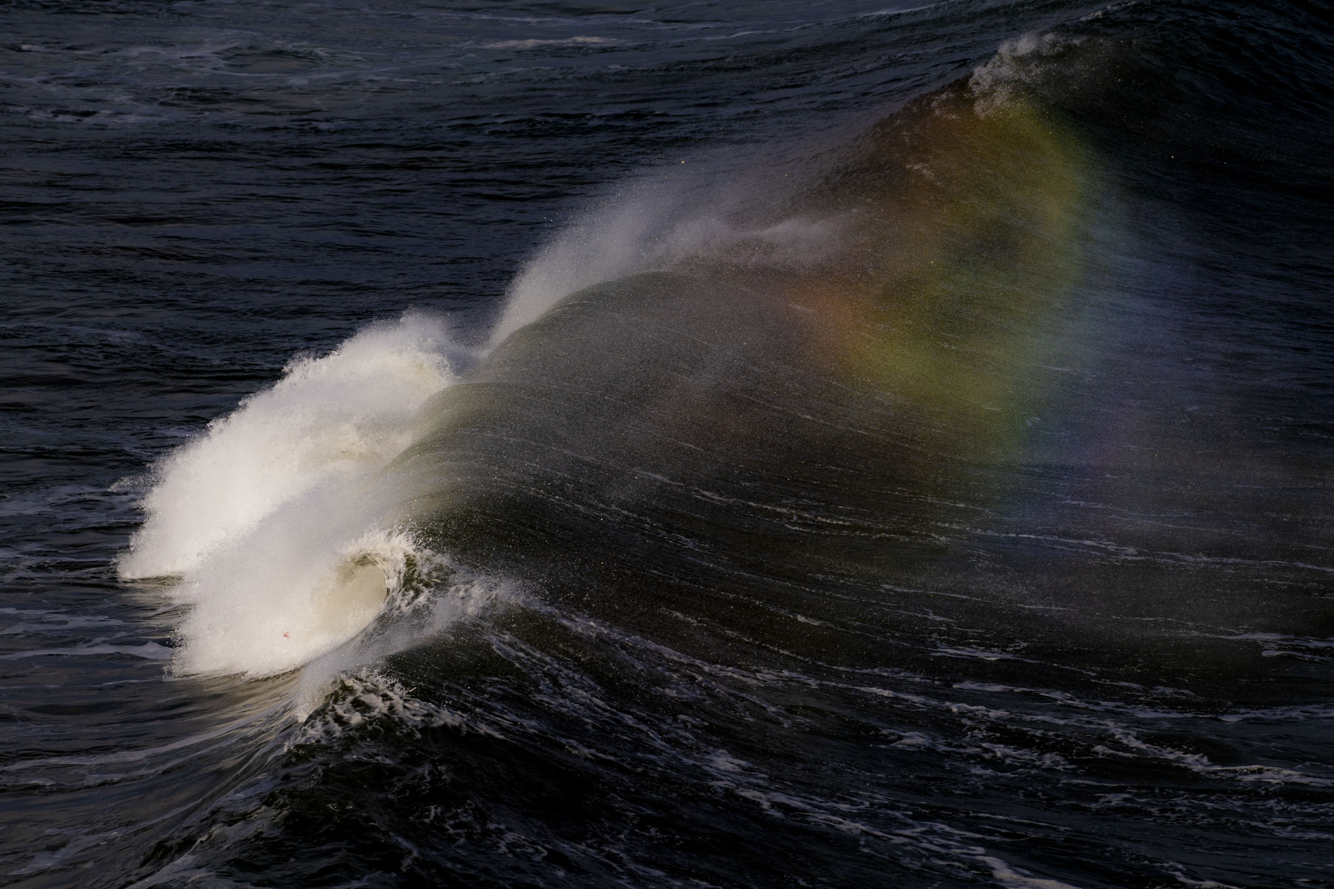 Finally, A Swell Does The Job at Bells and Beyond