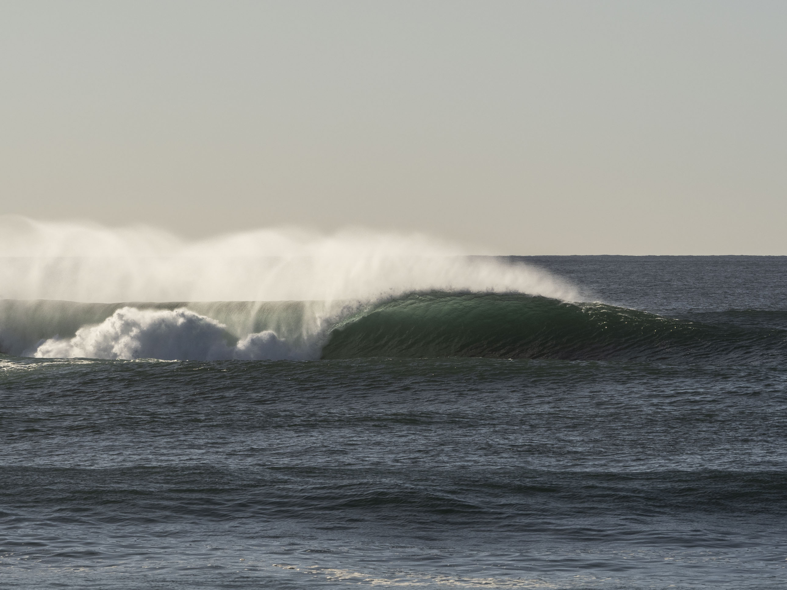 NSW: The Swell That Nearly Missed