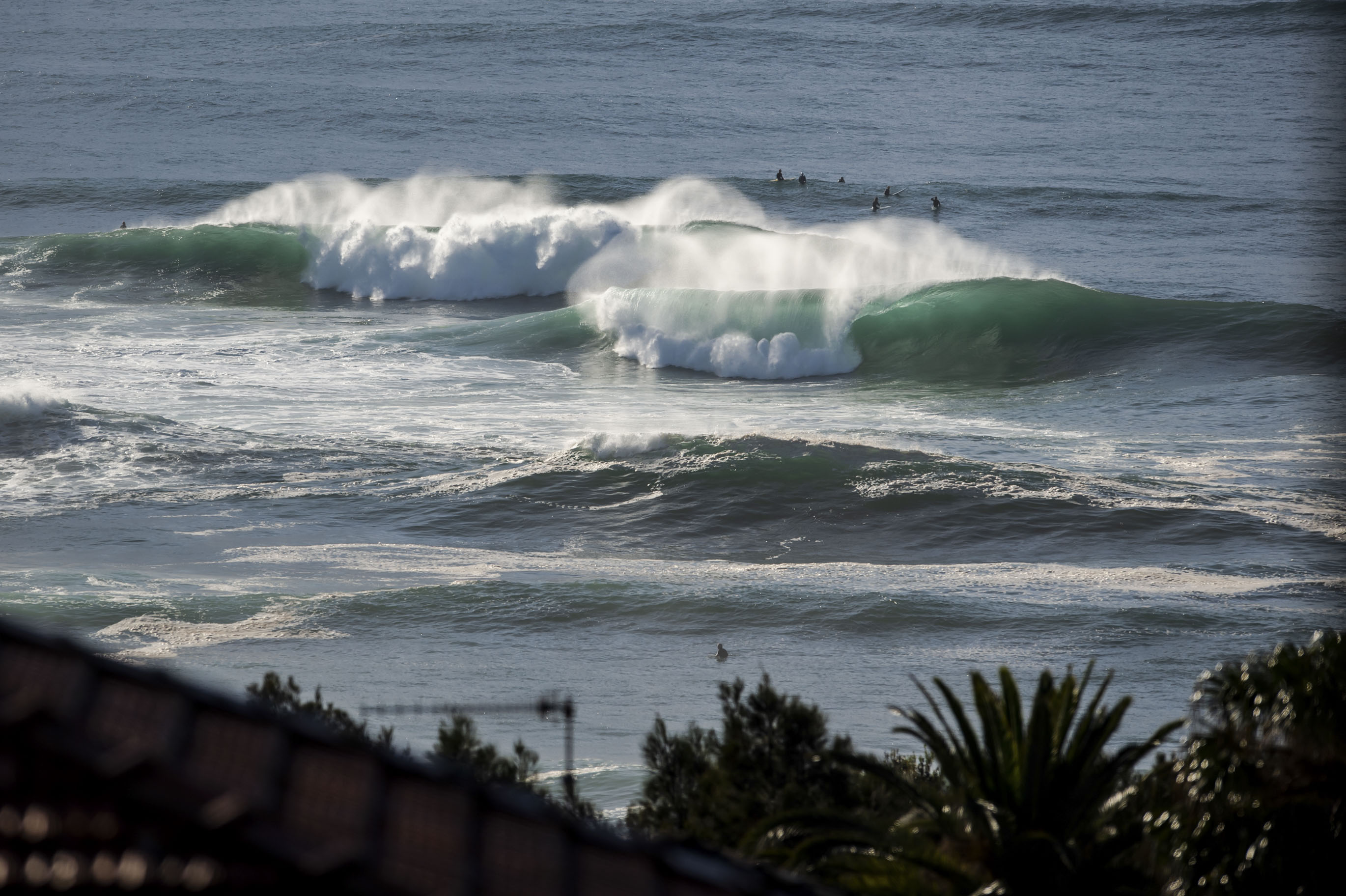 NSW: The Swell That Nearly Missed
