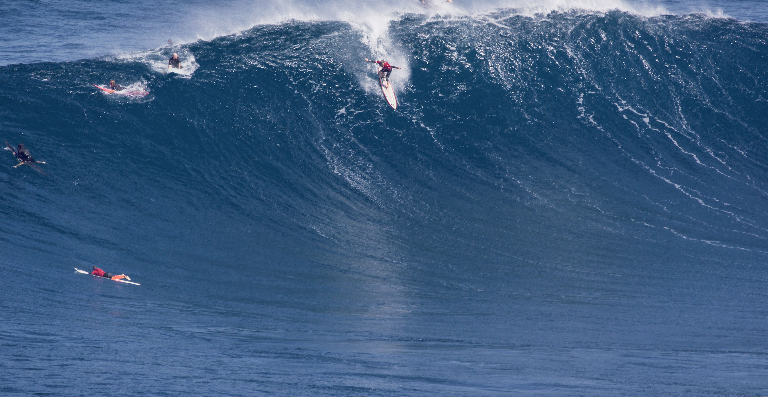 Jaws' Opening Swell: Of Sons and Daughters