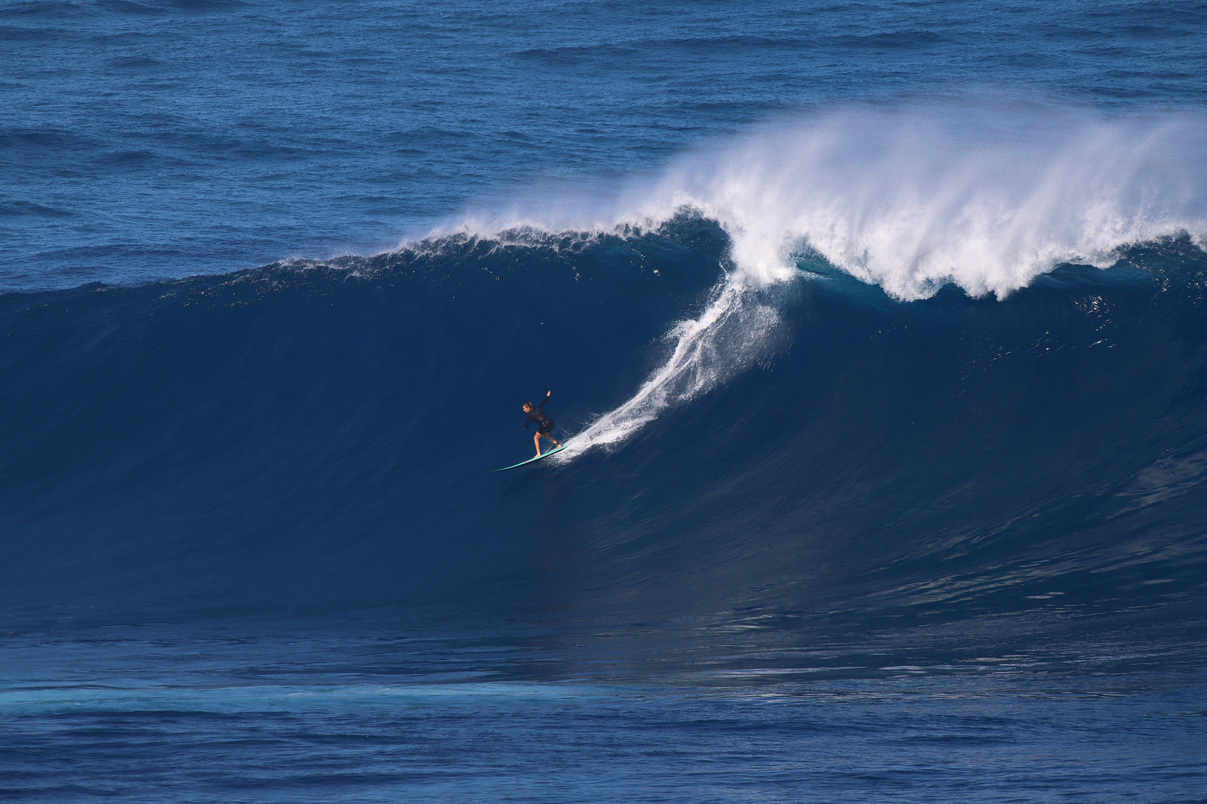 Jaws' Opening Swell: Of Sons and Daughters