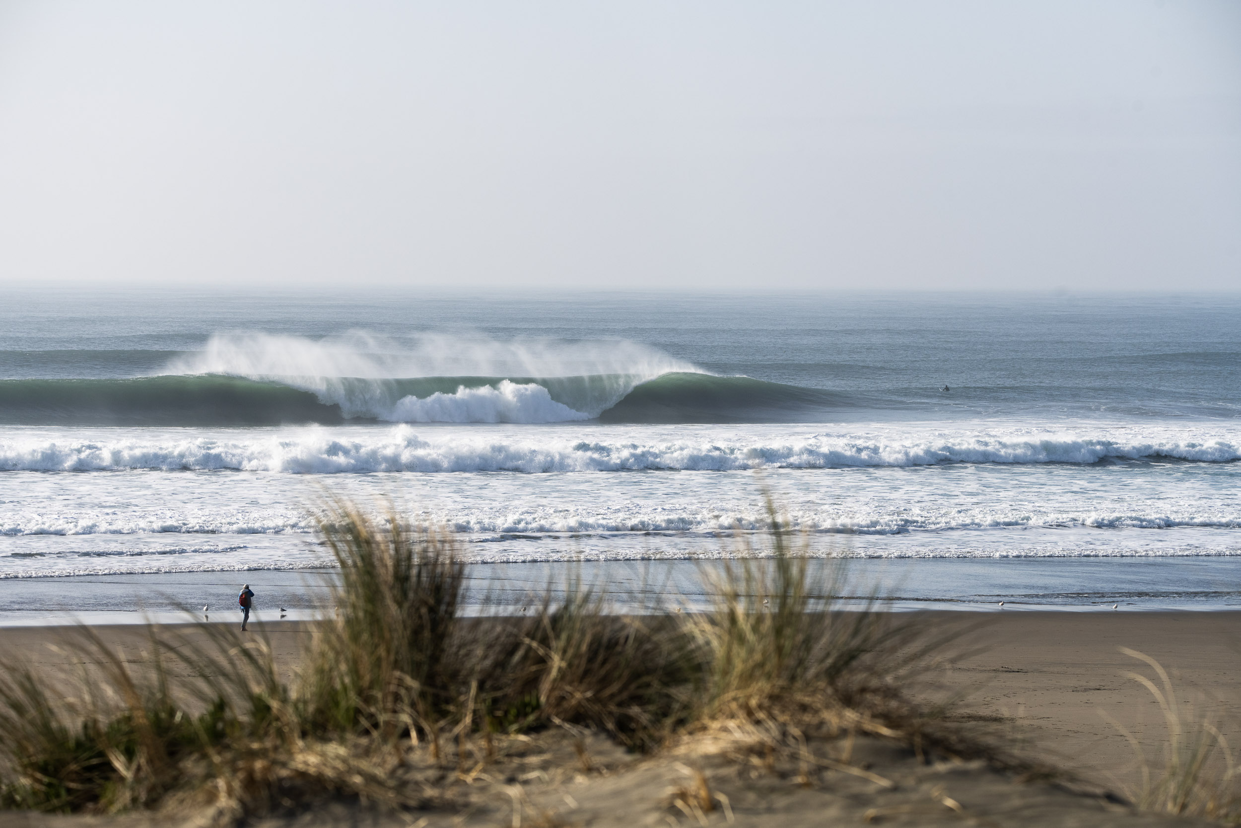 Welcome to Winter, California
