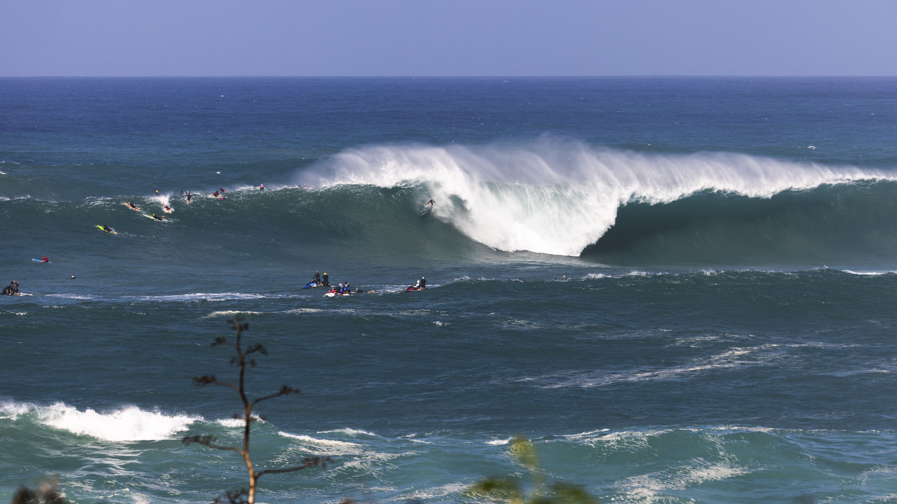 The Marcio Swell