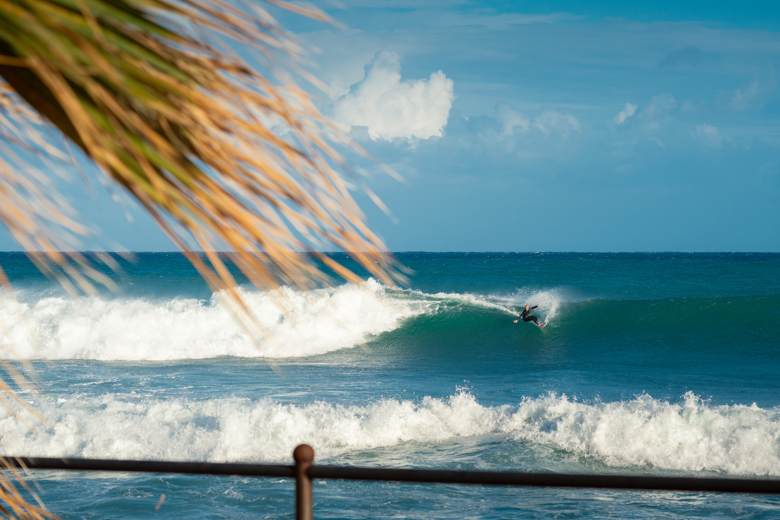 Italy: “Our Best Surf in Five Years!”