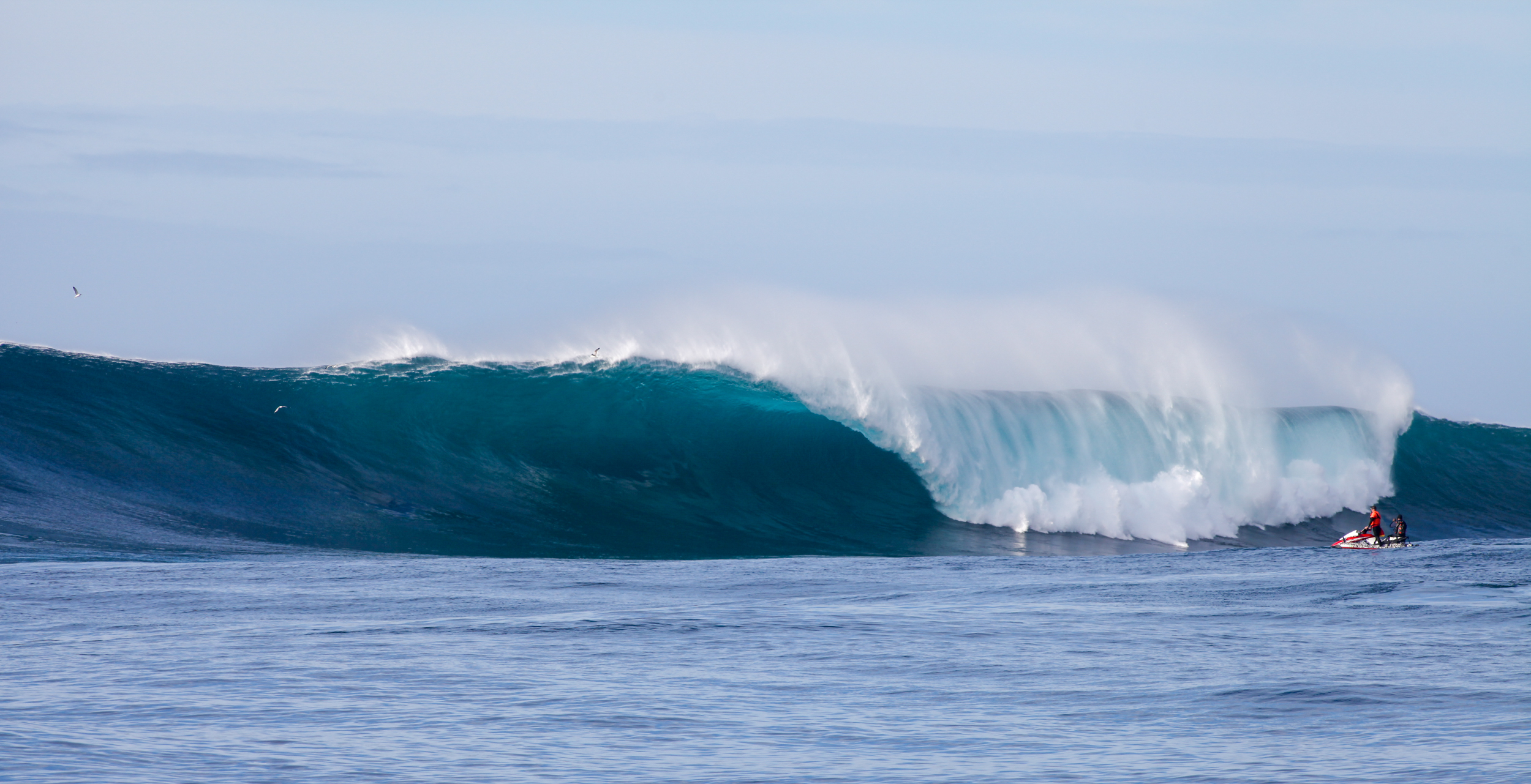 Cashing In: Return to Massive Cortes Bank