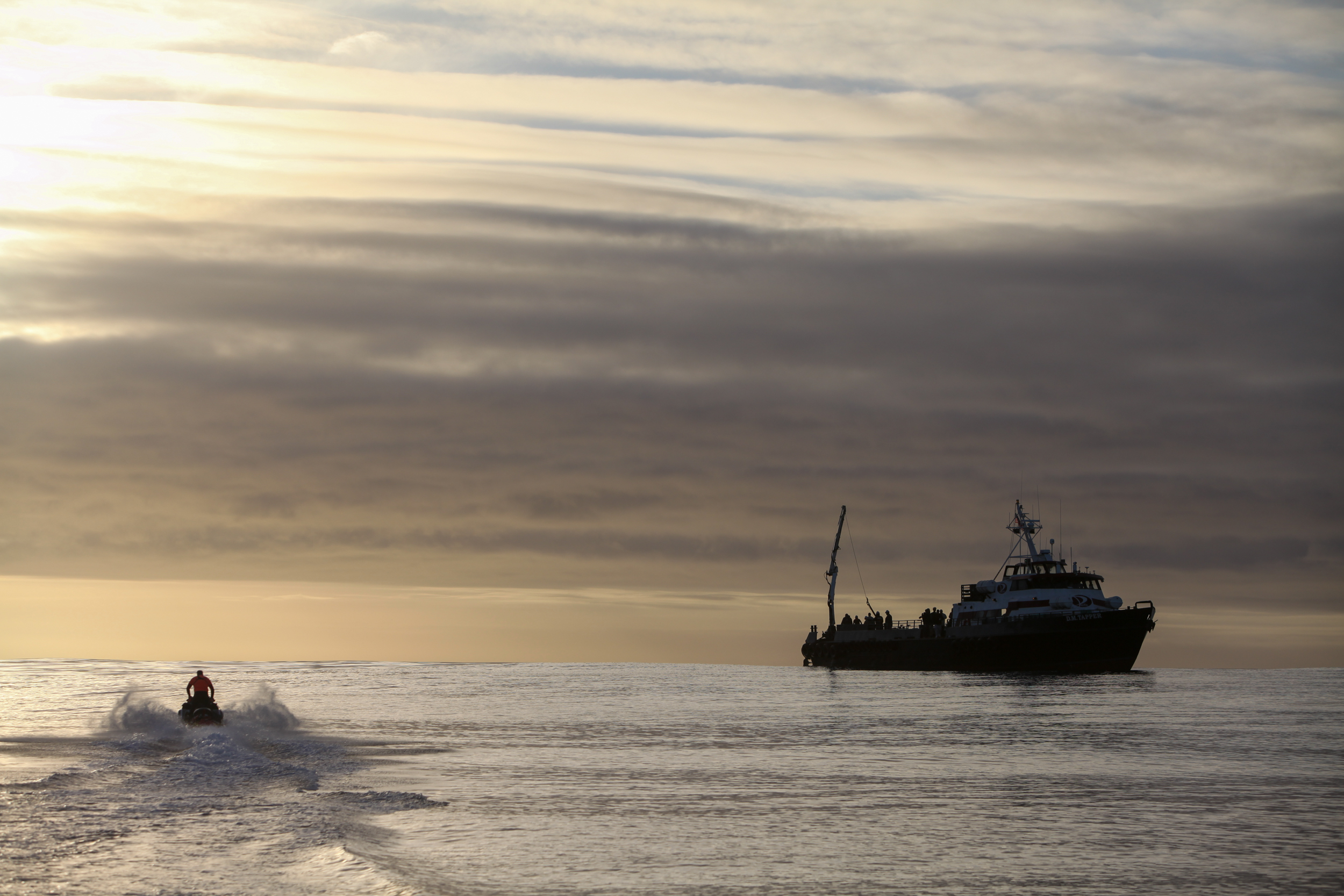 Cashing In: Return to Massive Cortes Bank