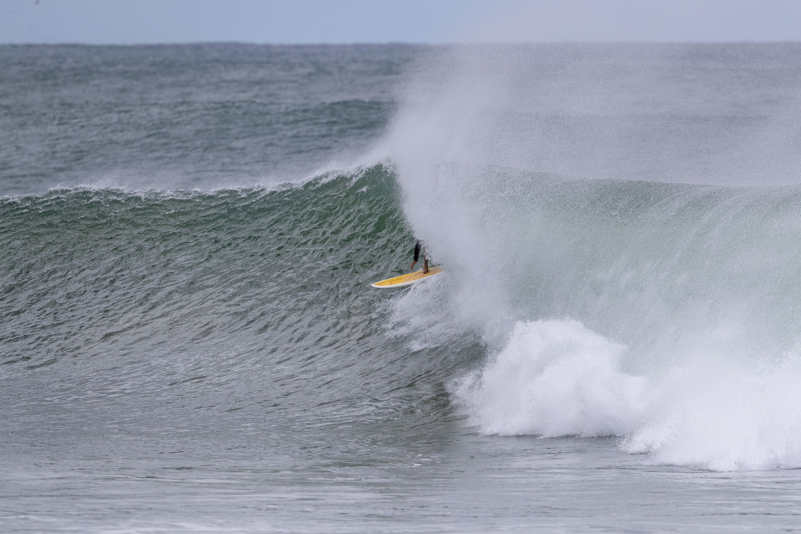 Bells, Winki, And The Late Summer Surprise