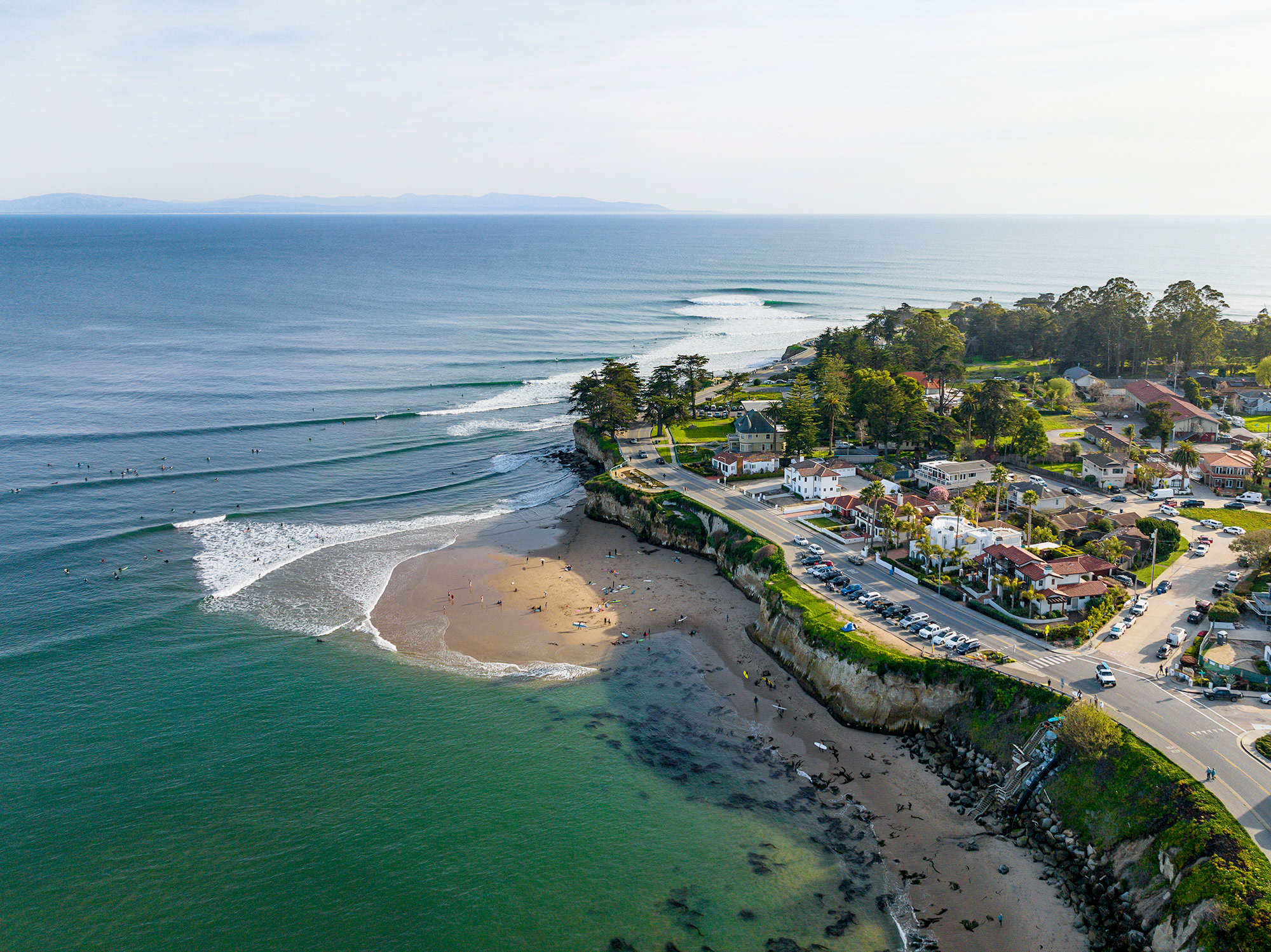 A Late Winter's Gift for California