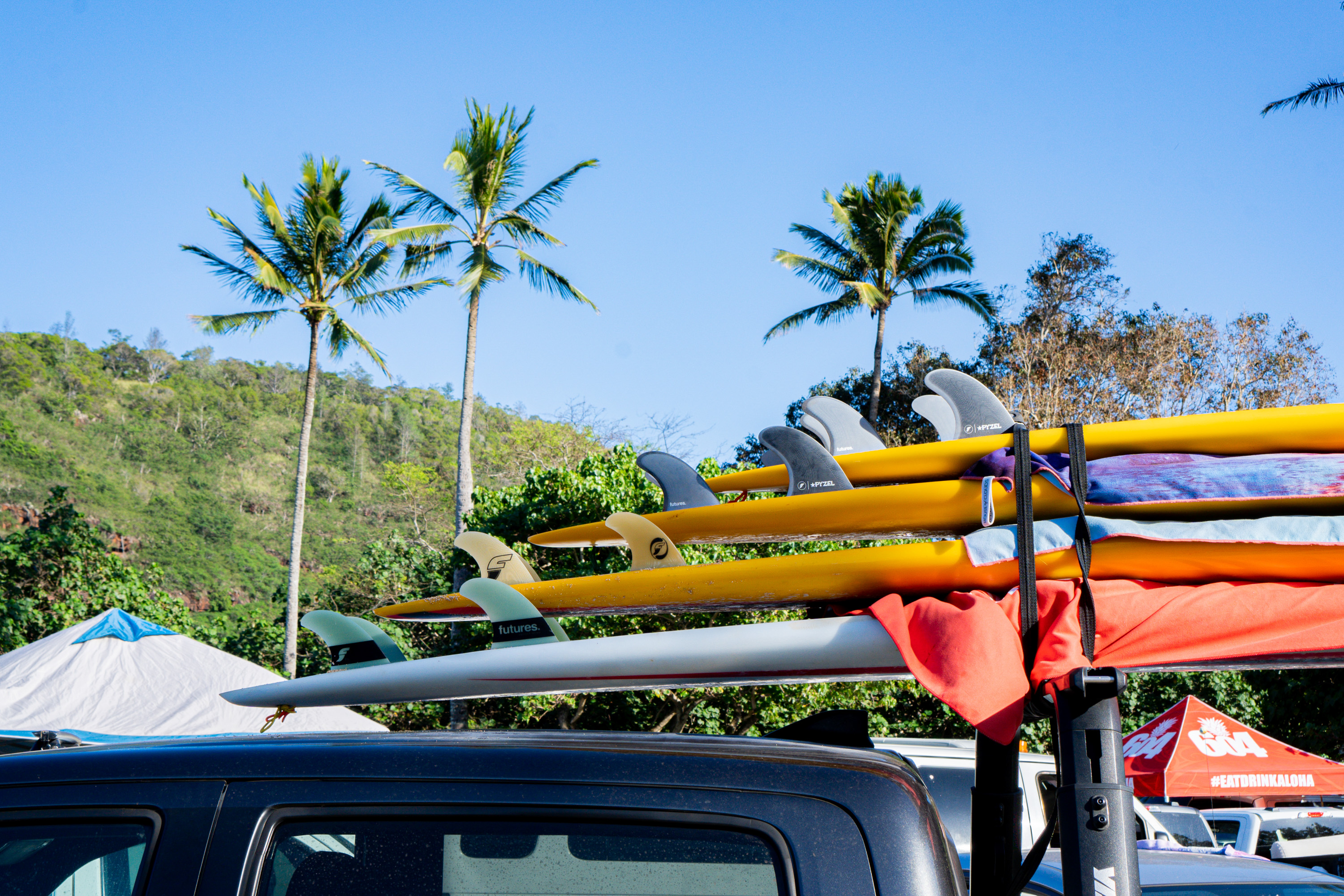 Big-Wave Fins: How Are They Different? Why Does it Matter?