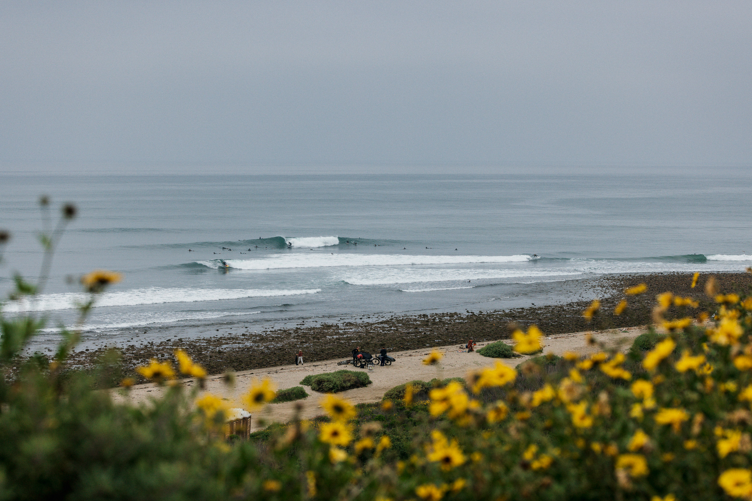 Spring Finally Arrives in SoCal