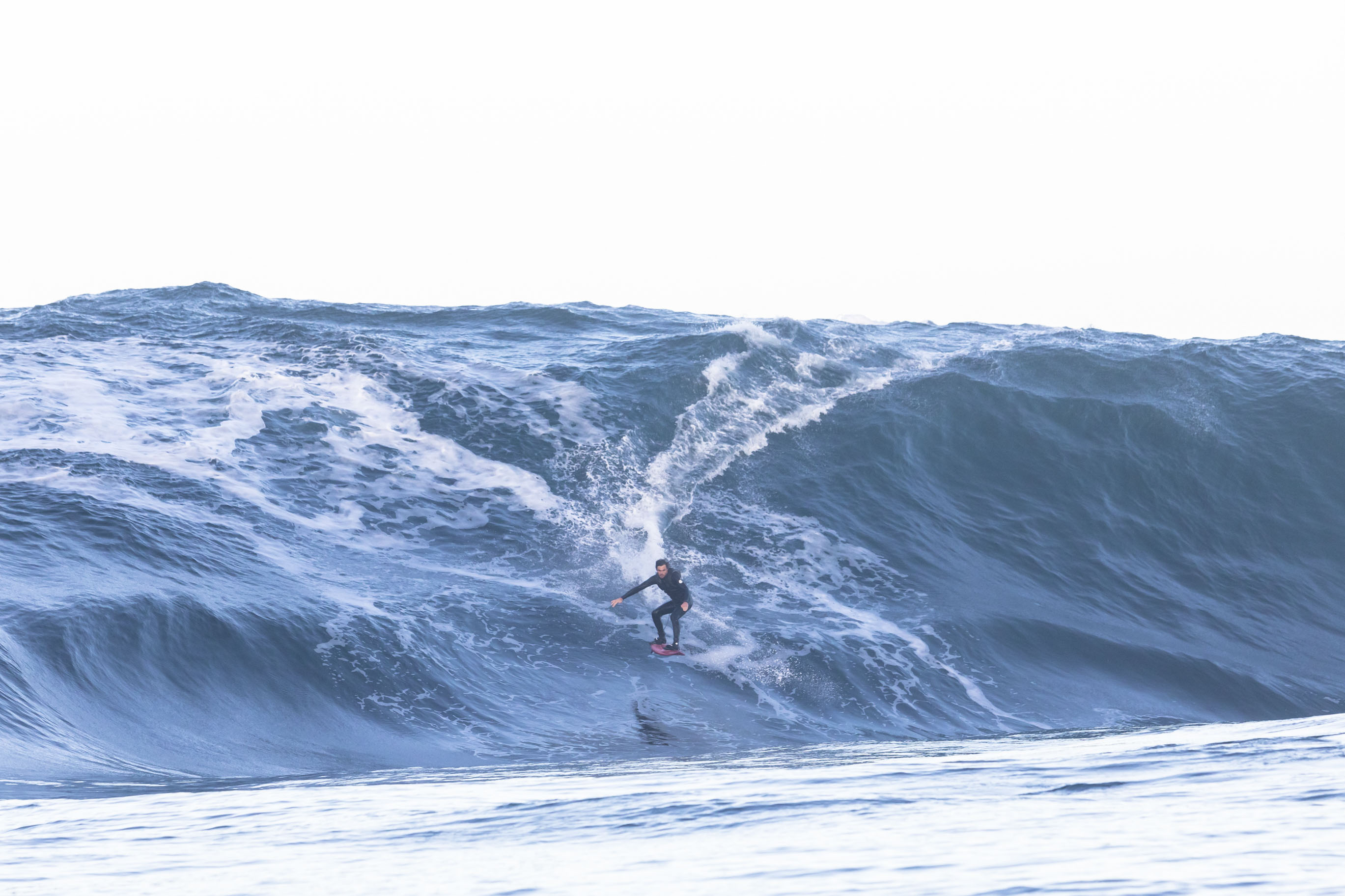 Stern Fever: When Tasmania Has A Good Year