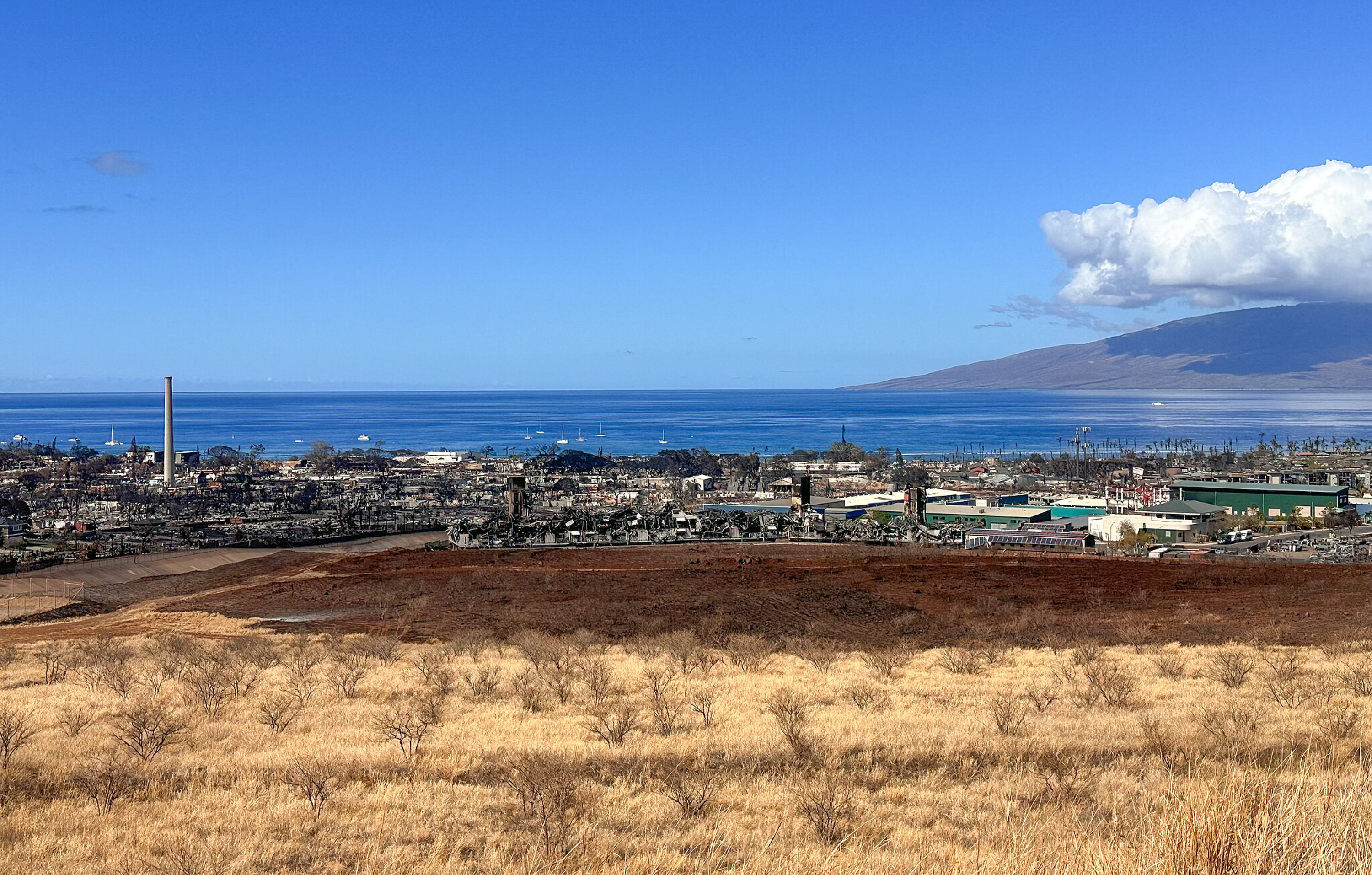 Shaping Lahaina's Recovery