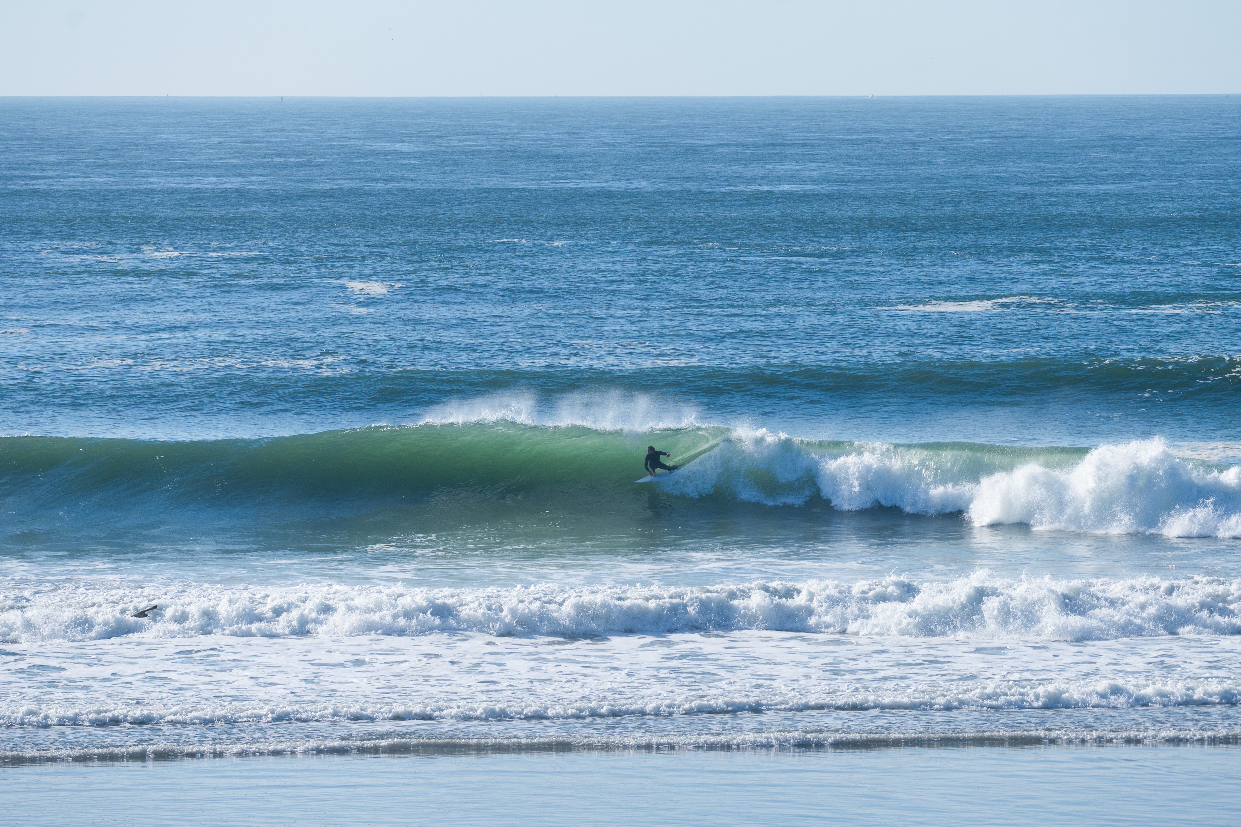 November NorCal Days