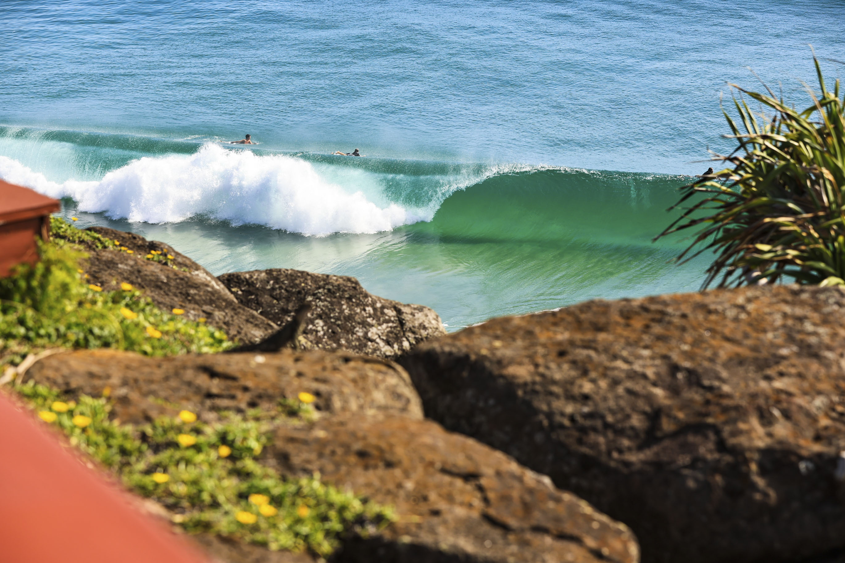 Qld: “As Pretty And Perfect As Three Foot Waves Get”