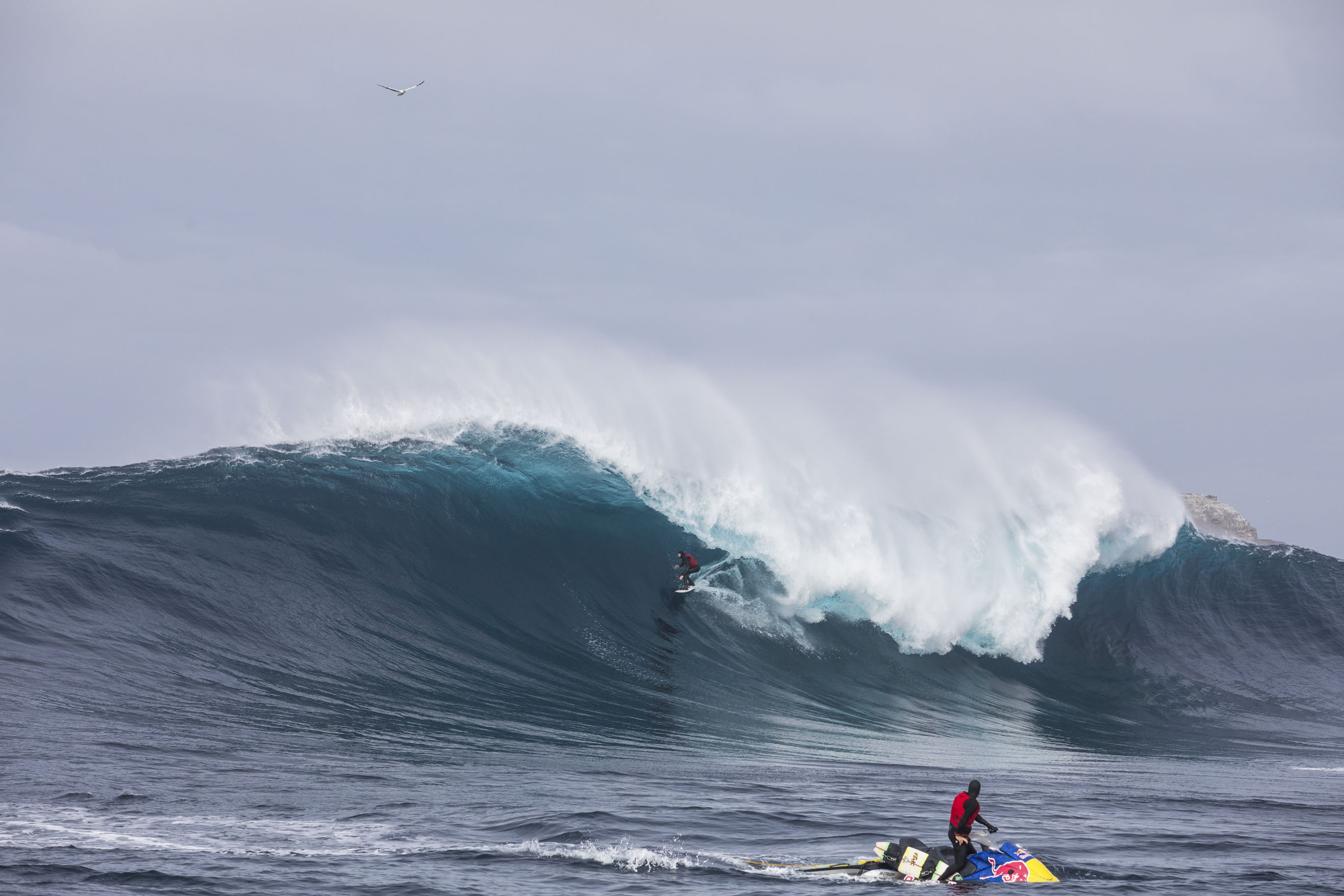 Tasmania: Return To The Rock