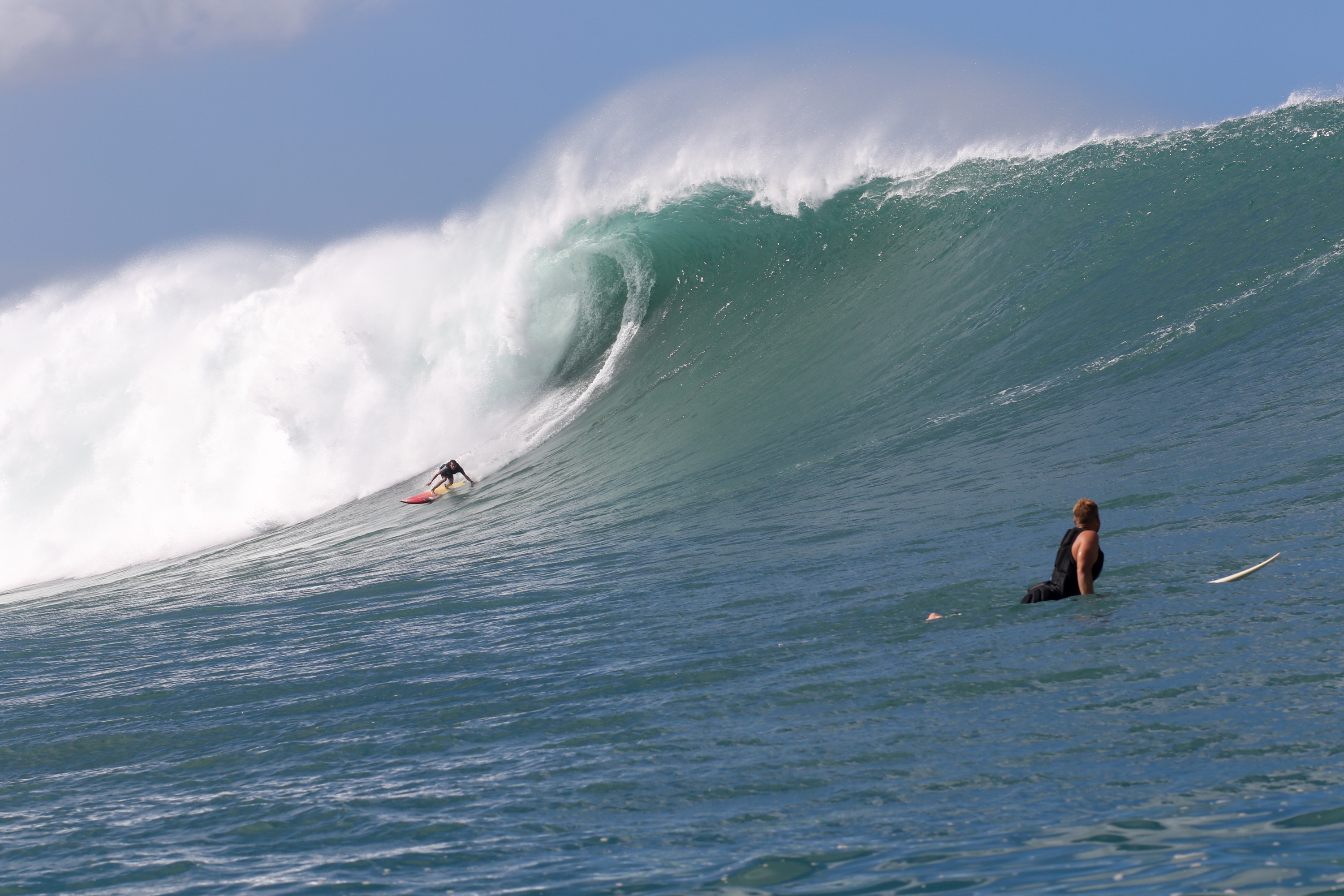 Elsewhere in XXL Hawaii