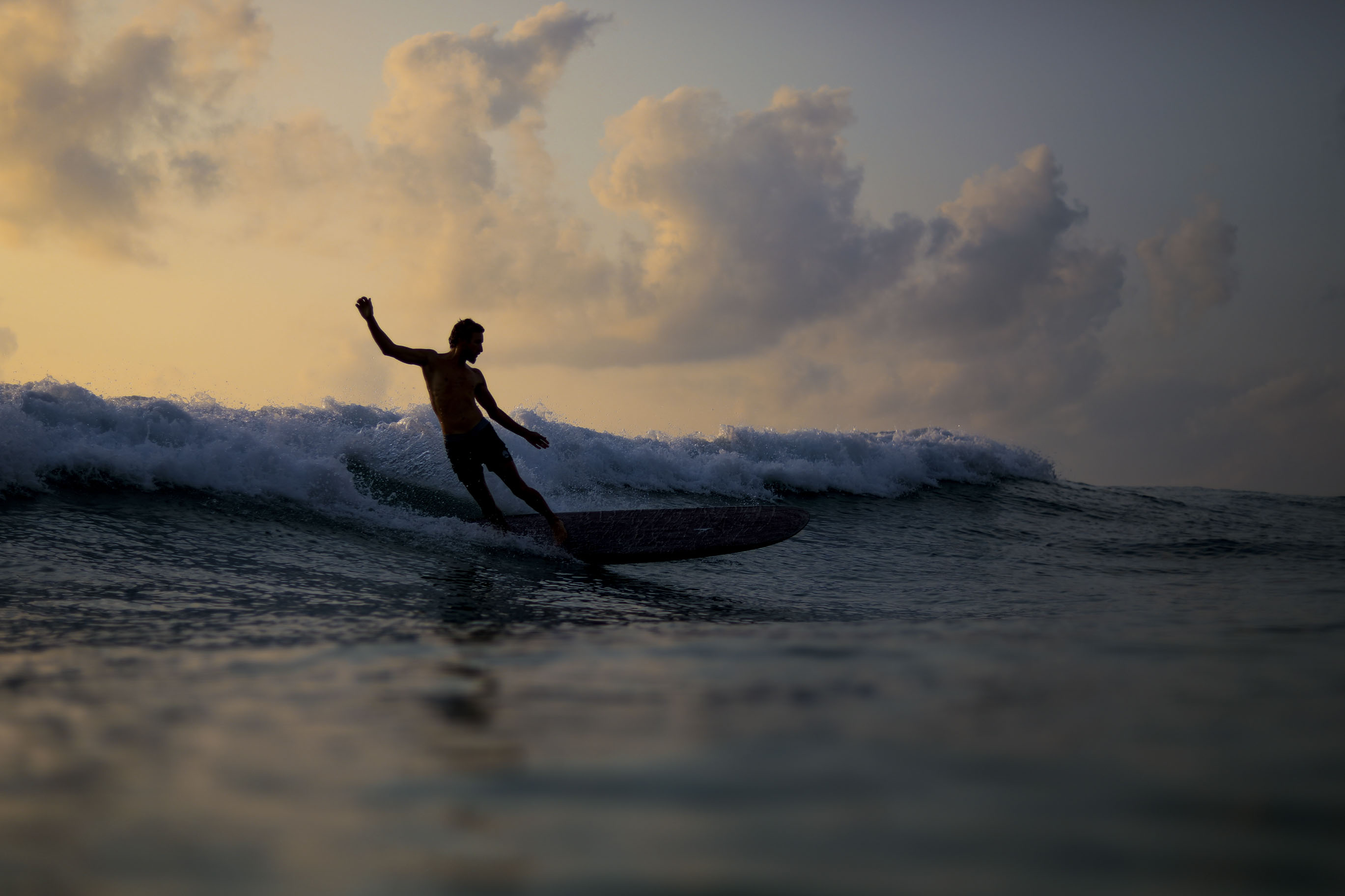 Effortless: Noosa, A Surfing Family