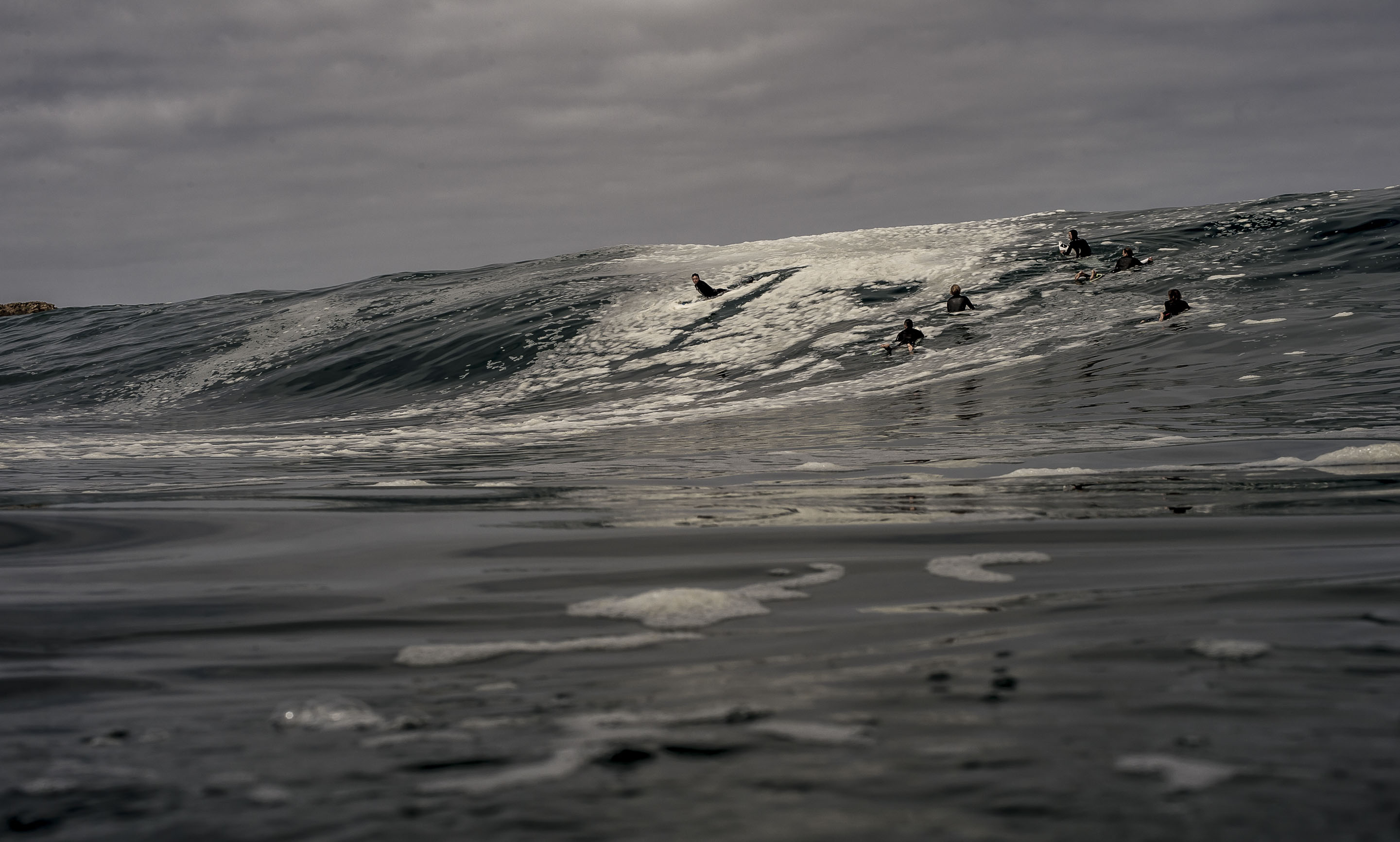 Shark Trauma: Voices From The Impact Zone