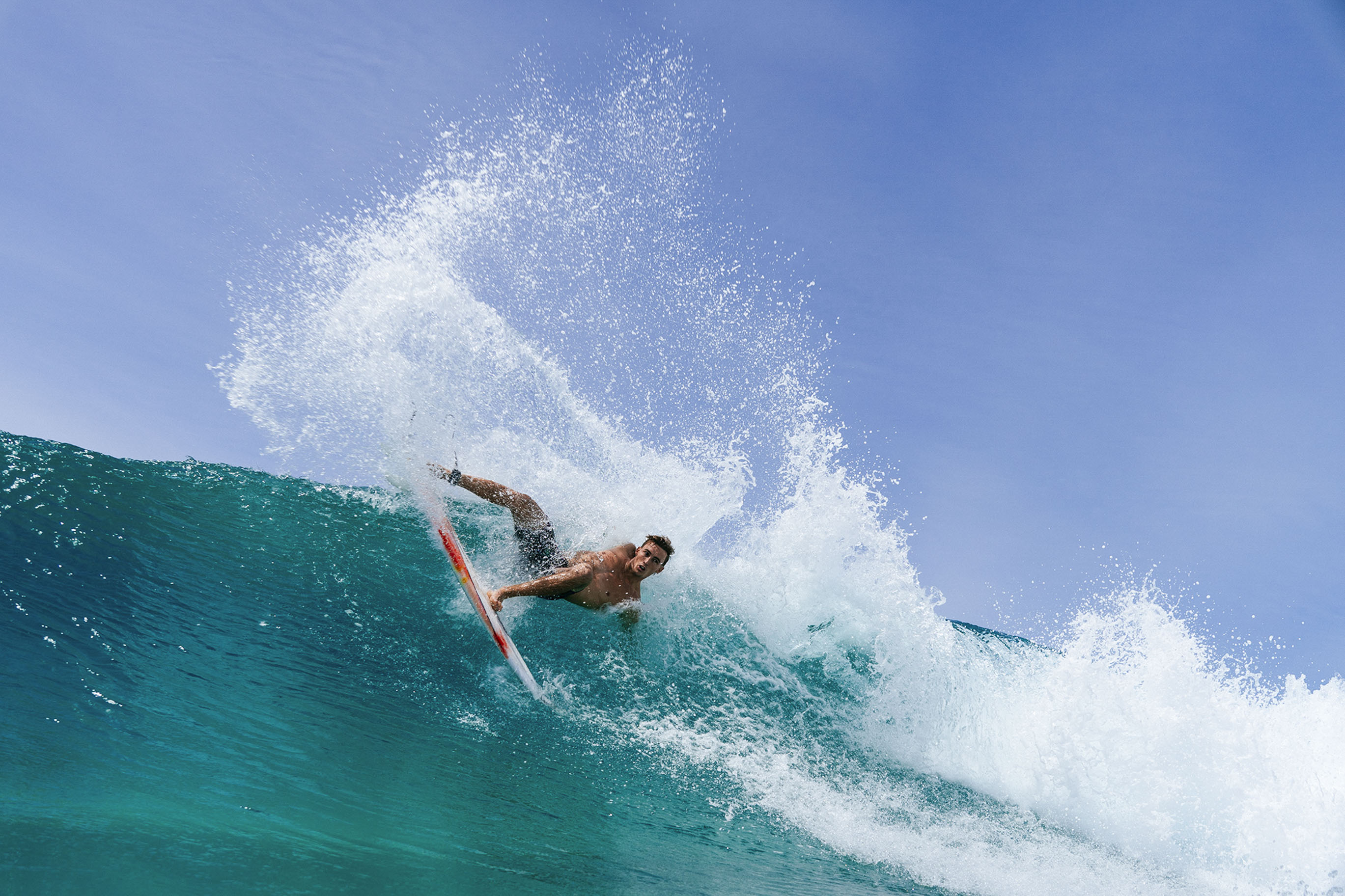 When The Wall Went Wild