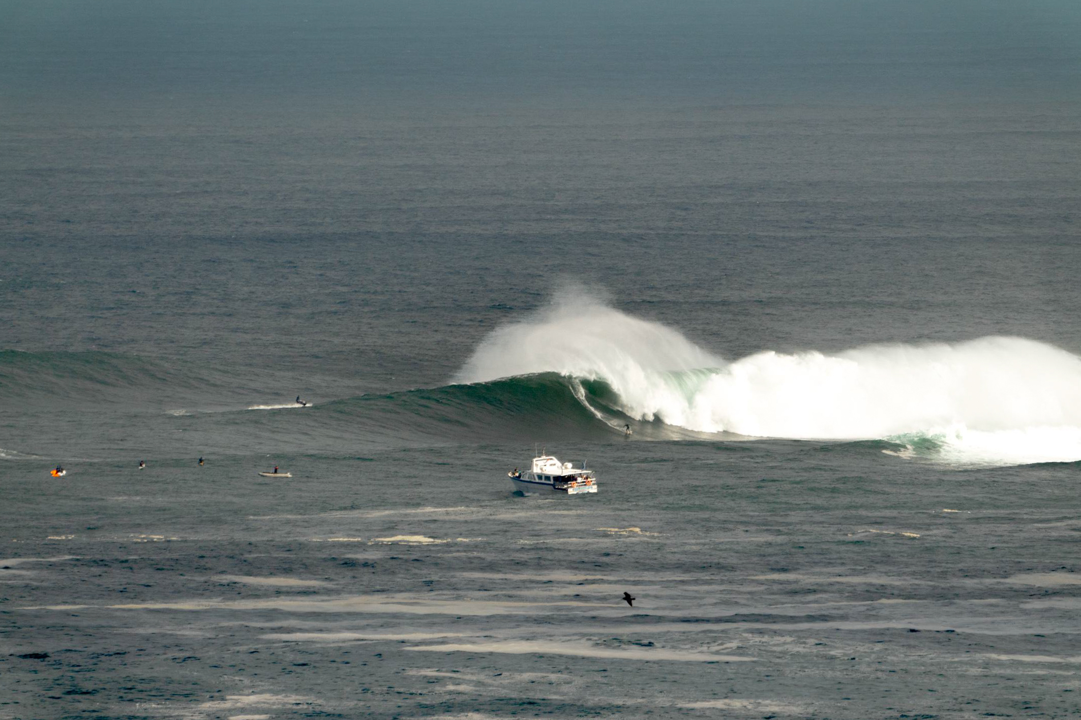 Dungeons Returns: A Devoted Crew