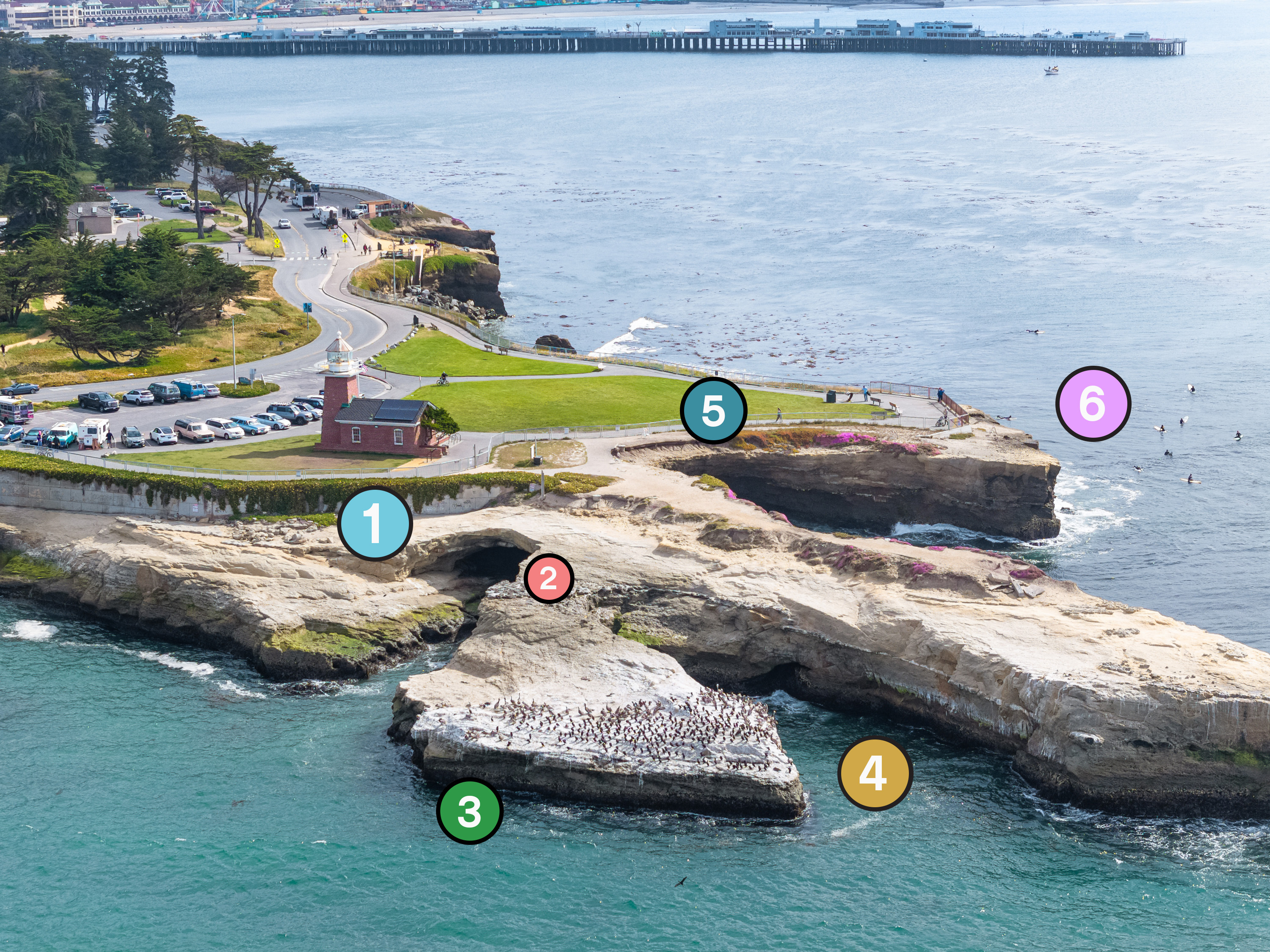 What’s Happening With The Cliff at Steamer Lane?