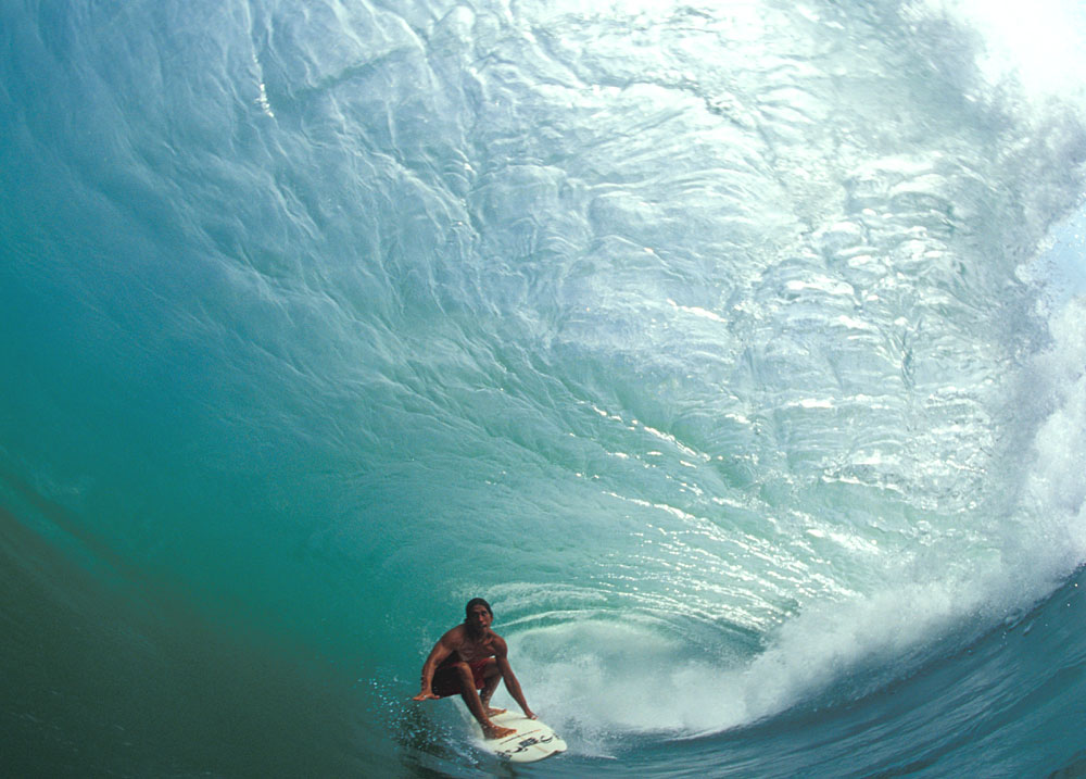 Tragedy: Tamayo Perry Dies After Oahu Shark Attack