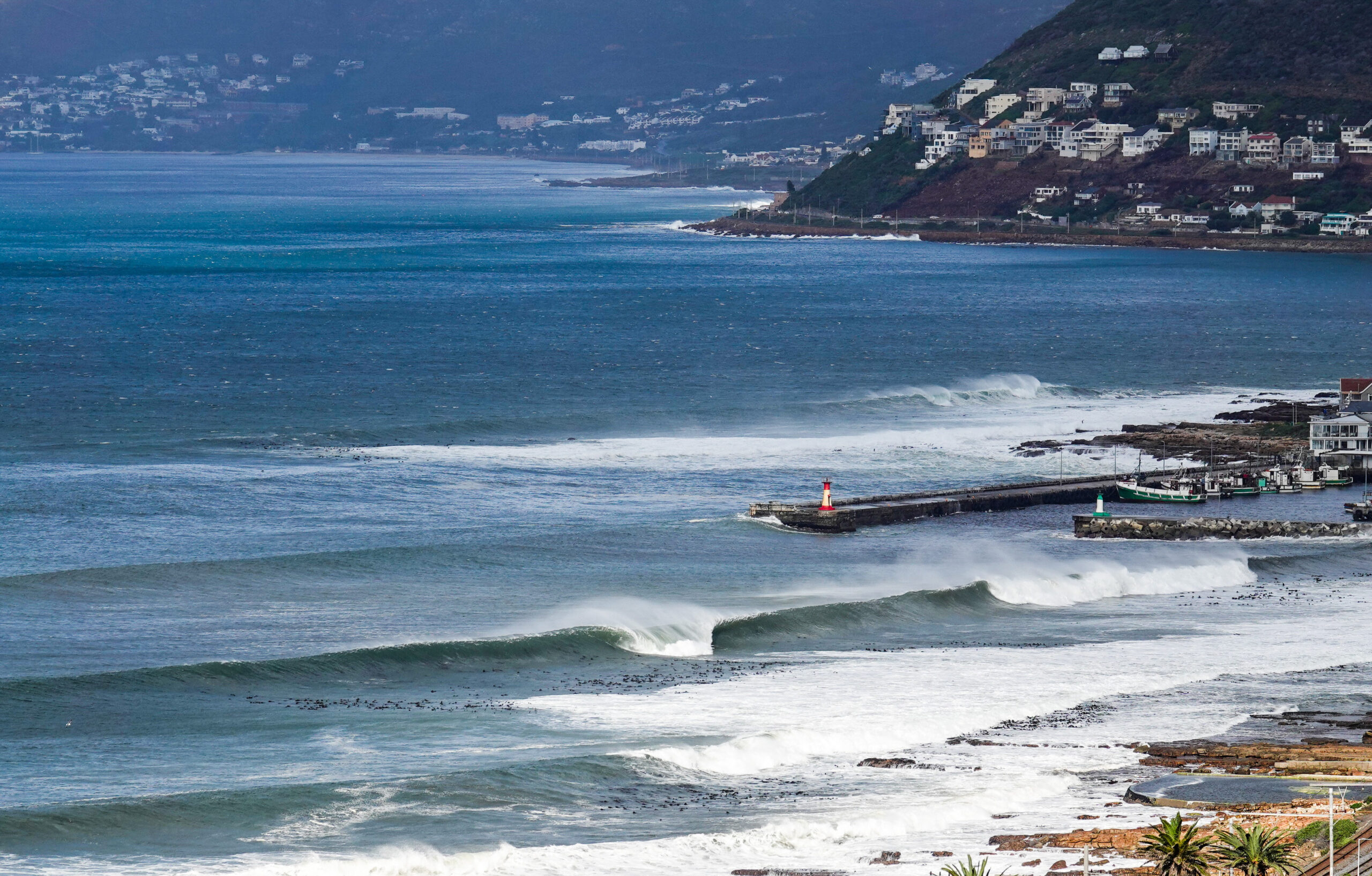 South Africa: Where Are the Sharks?