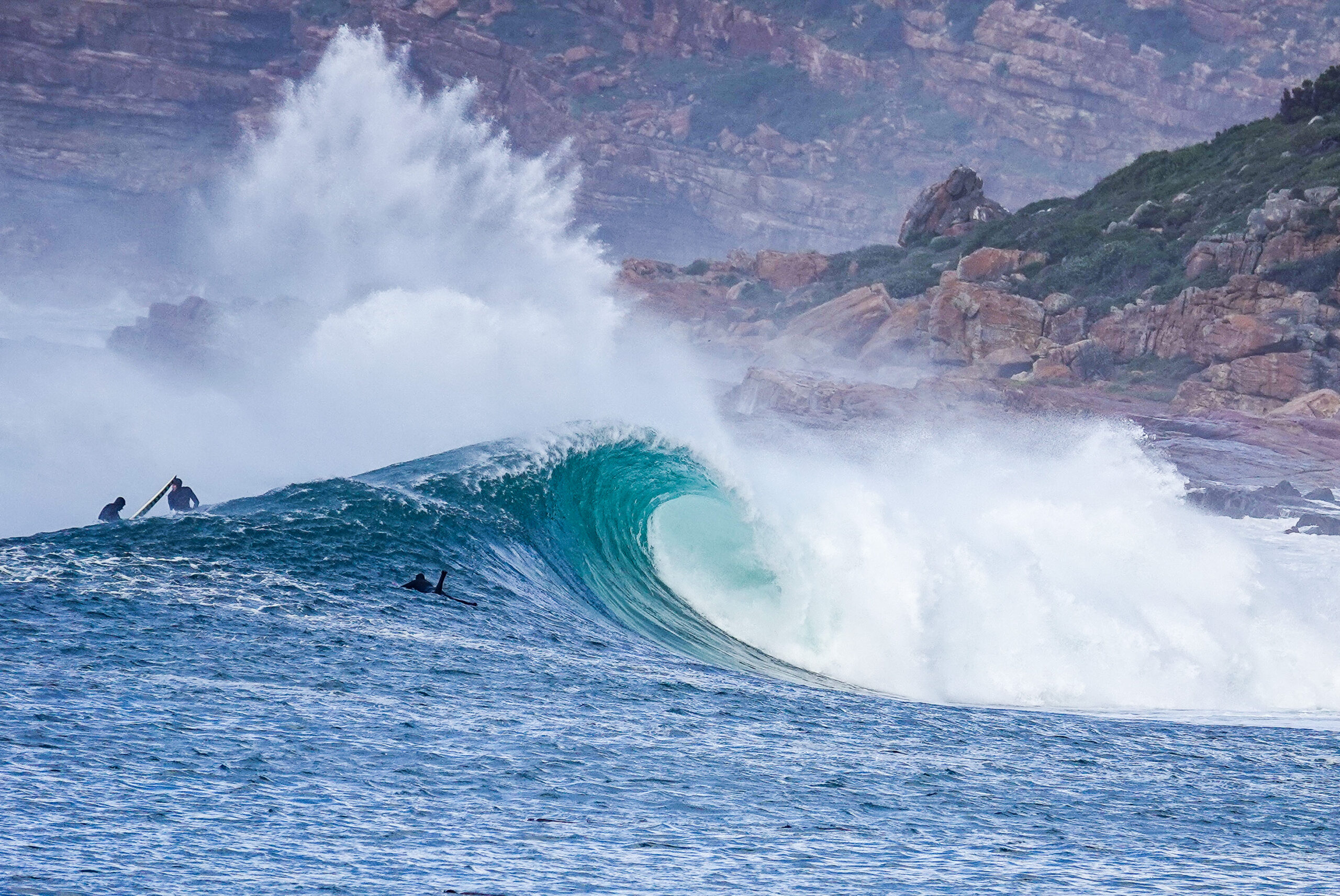 South Africa: Where Are the Sharks?
