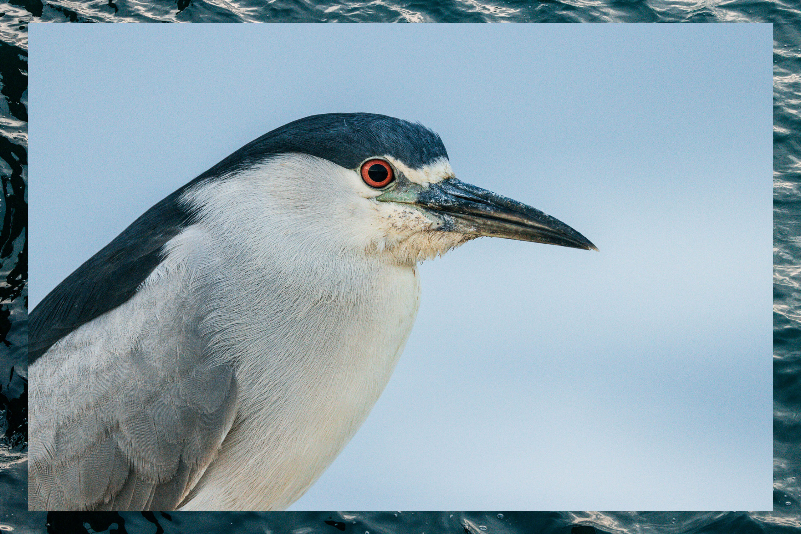 Fabio Plus Emilia Equals 24 Hours of Tropical Swell for SoCal