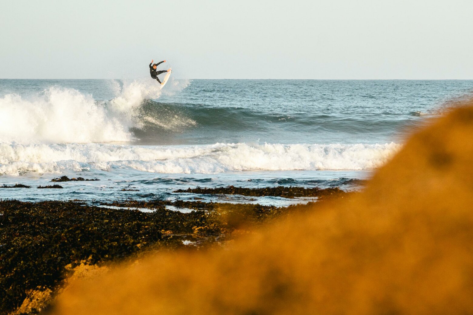 The Reef Comes Alive