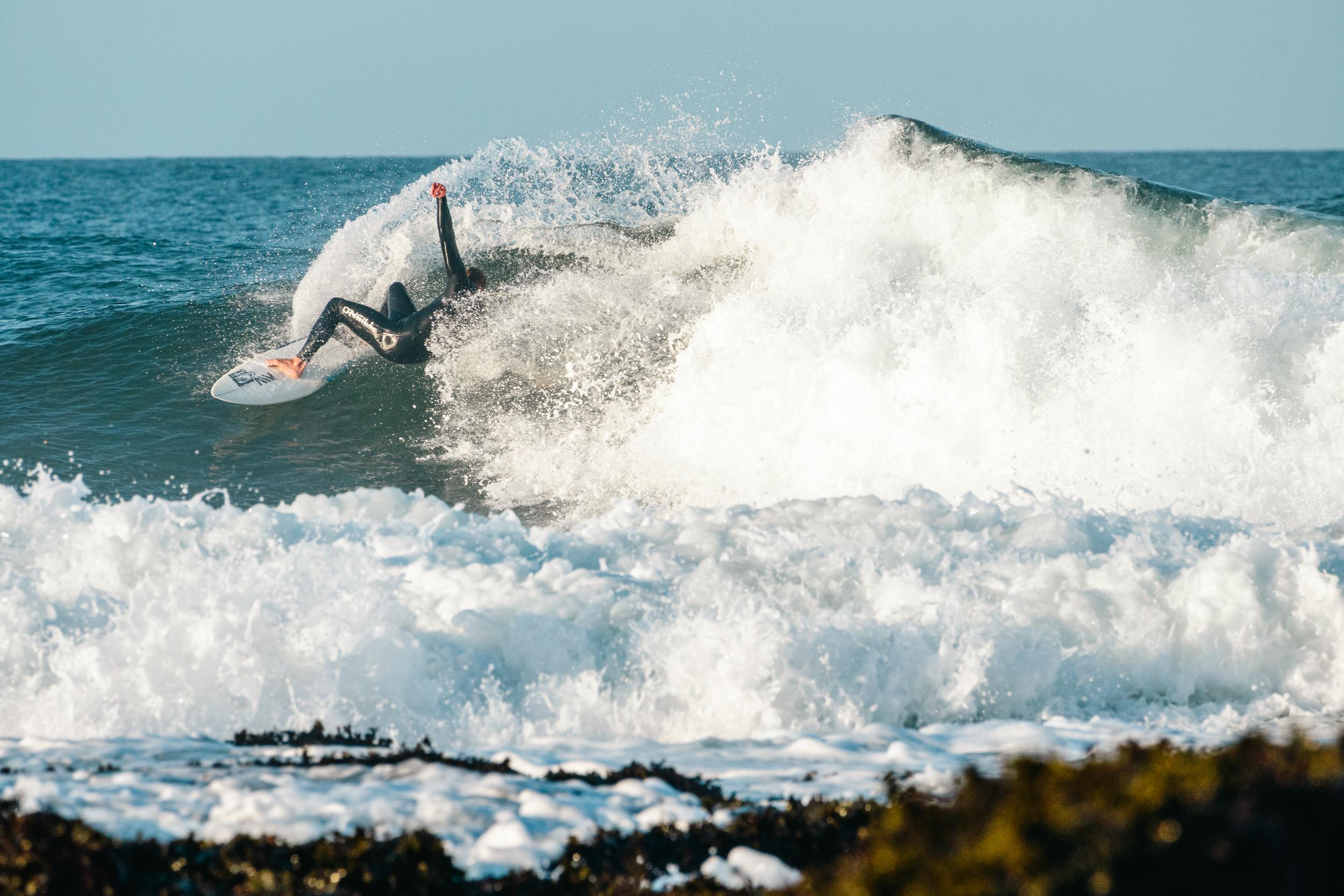 The Reef Comes Alive