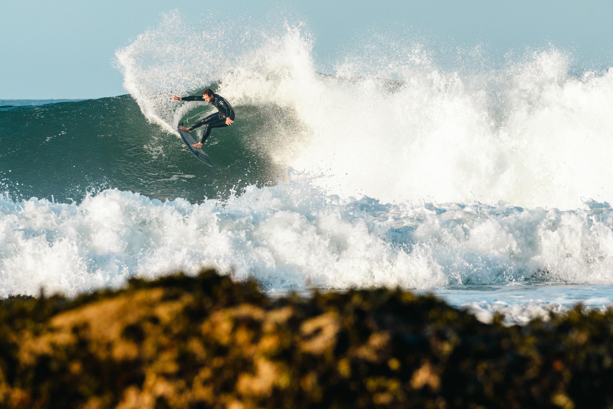 The Reef Comes Alive