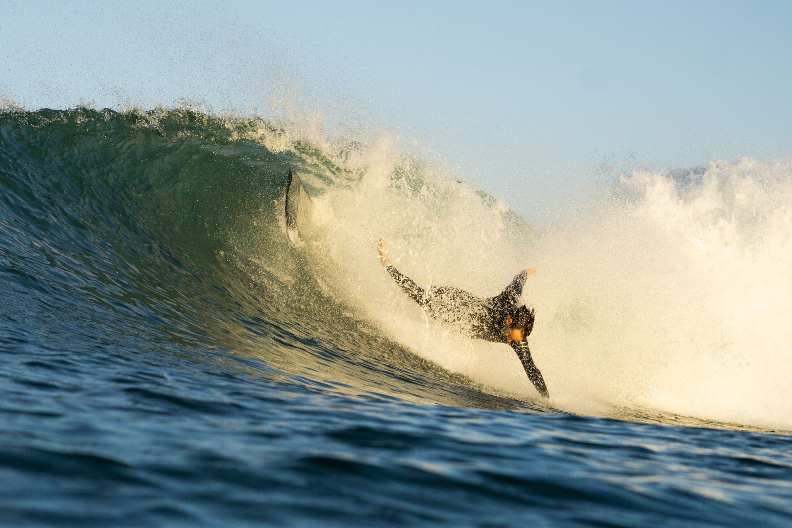 The Reef Comes Alive