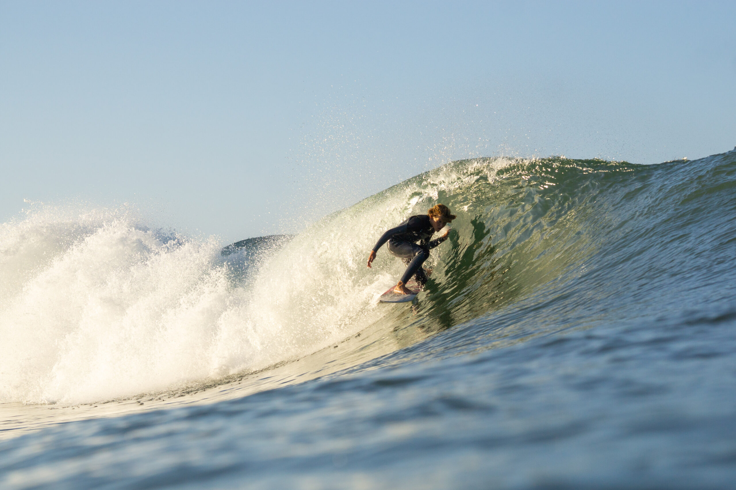 The Reef Comes Alive