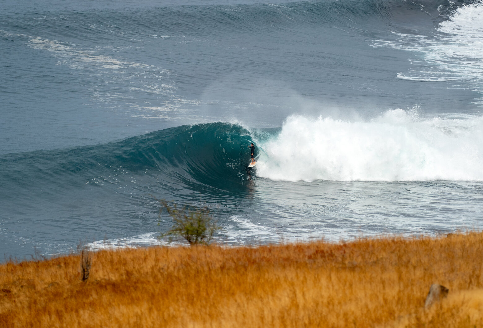 “It’s Like Being Hypnotised”: In The Tube With Soli Bailey